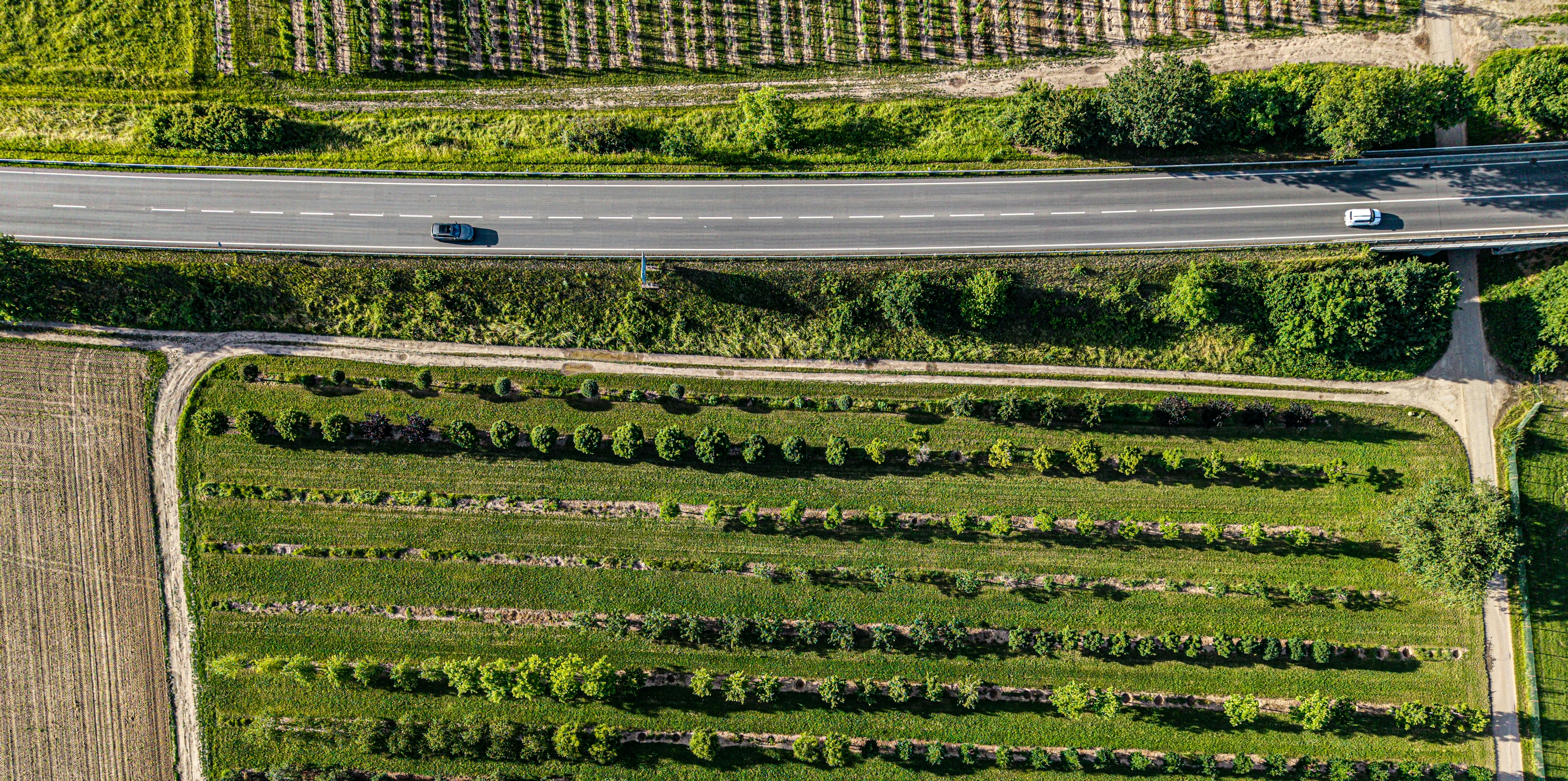 Aerial view of a highway, green fields, and stacked wood.