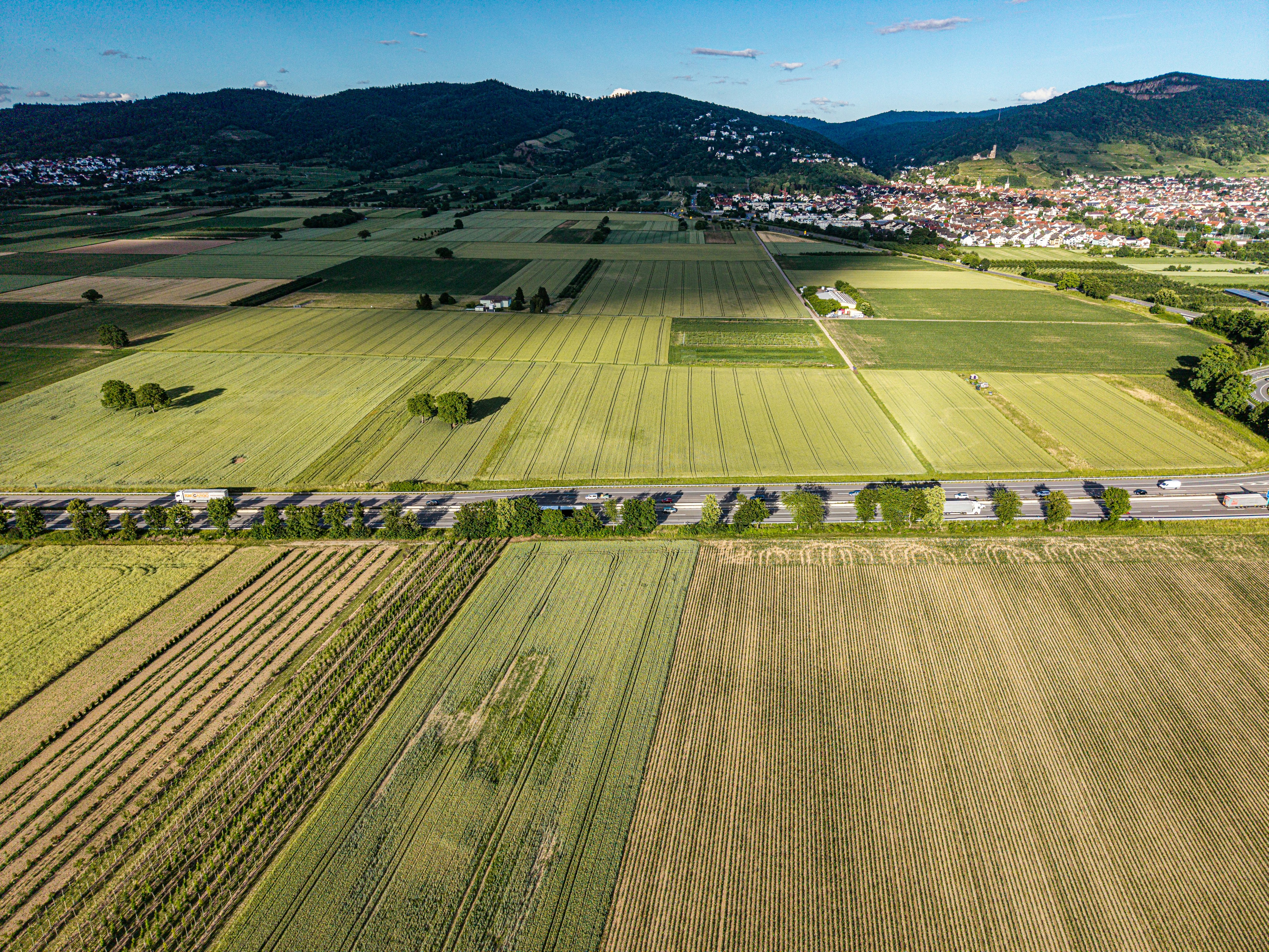 Patchwork Fields Under a Mountain Crest