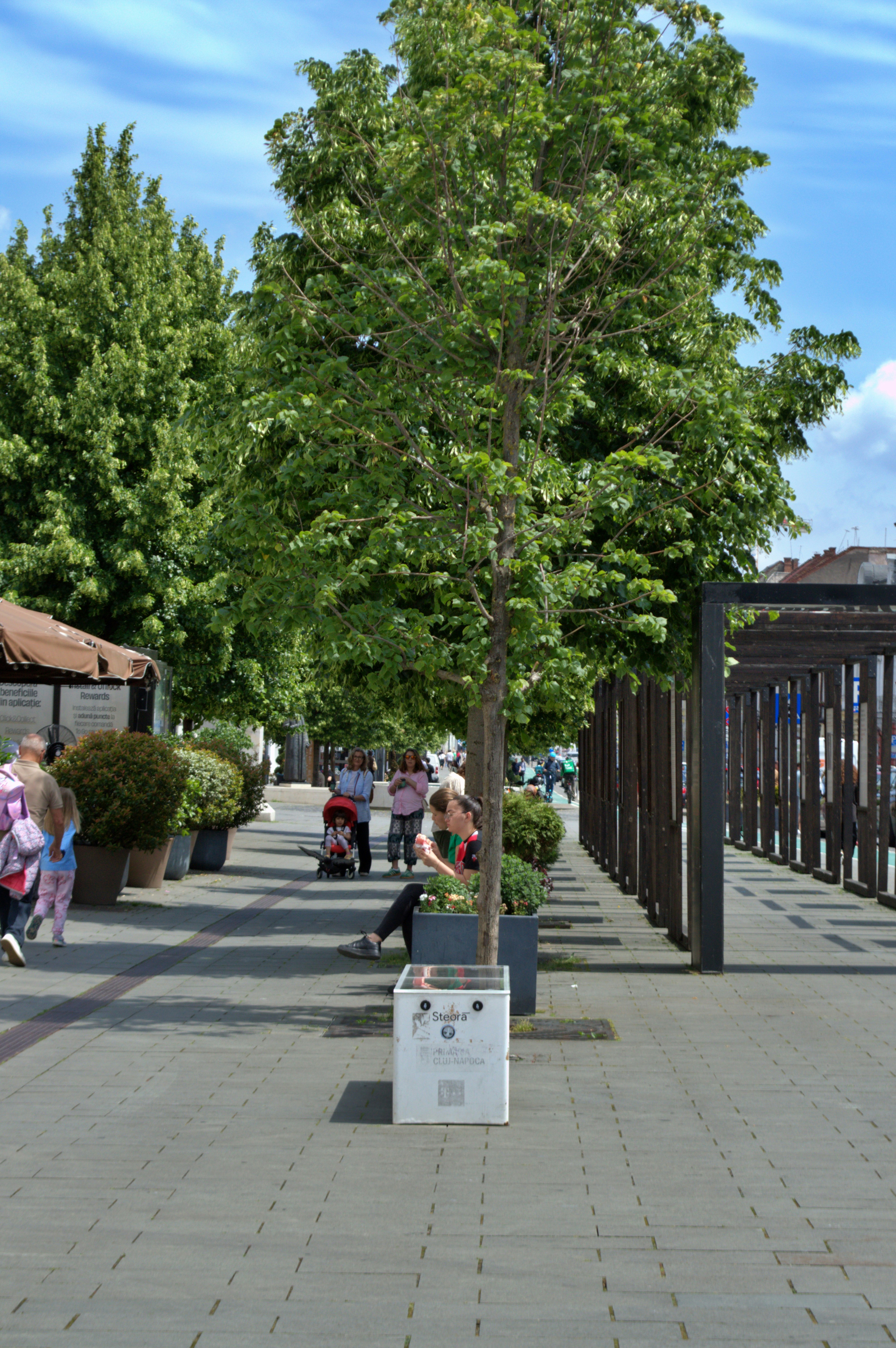 Tree-lined promenade with a resting figure and distant stroller