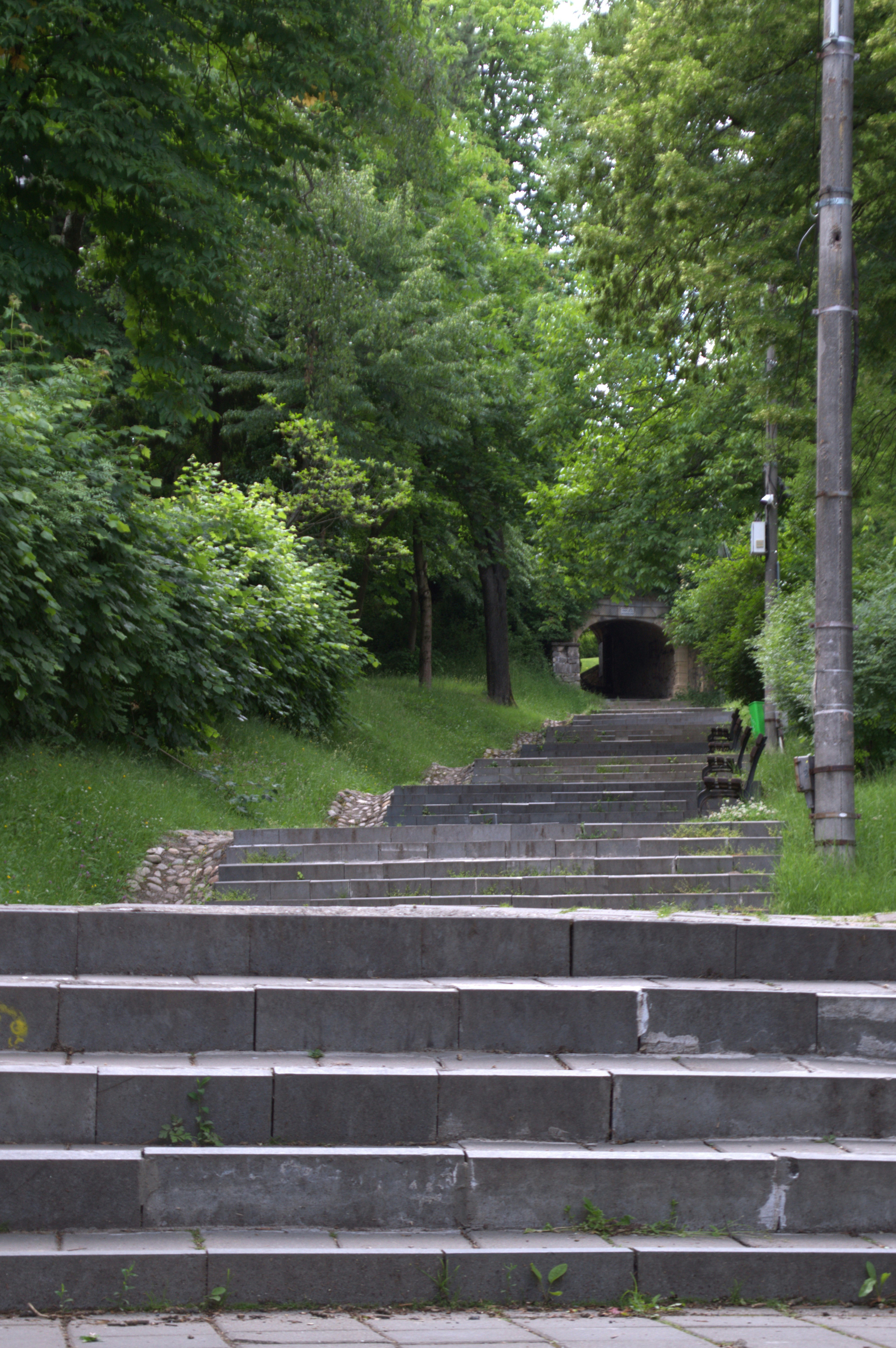 Stone Staircase Reaching into a Green Tunnel
