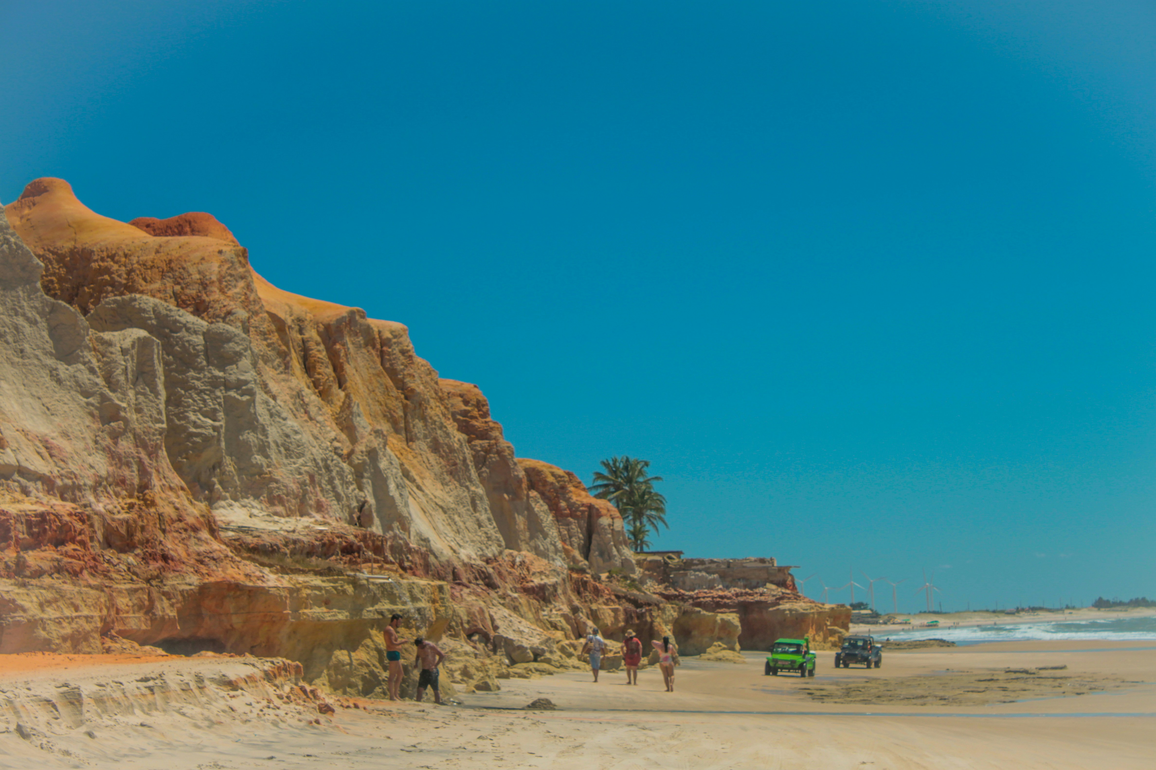 Sunlit Cliffside Beach with Palm Silhouettes and Off-Road Crew