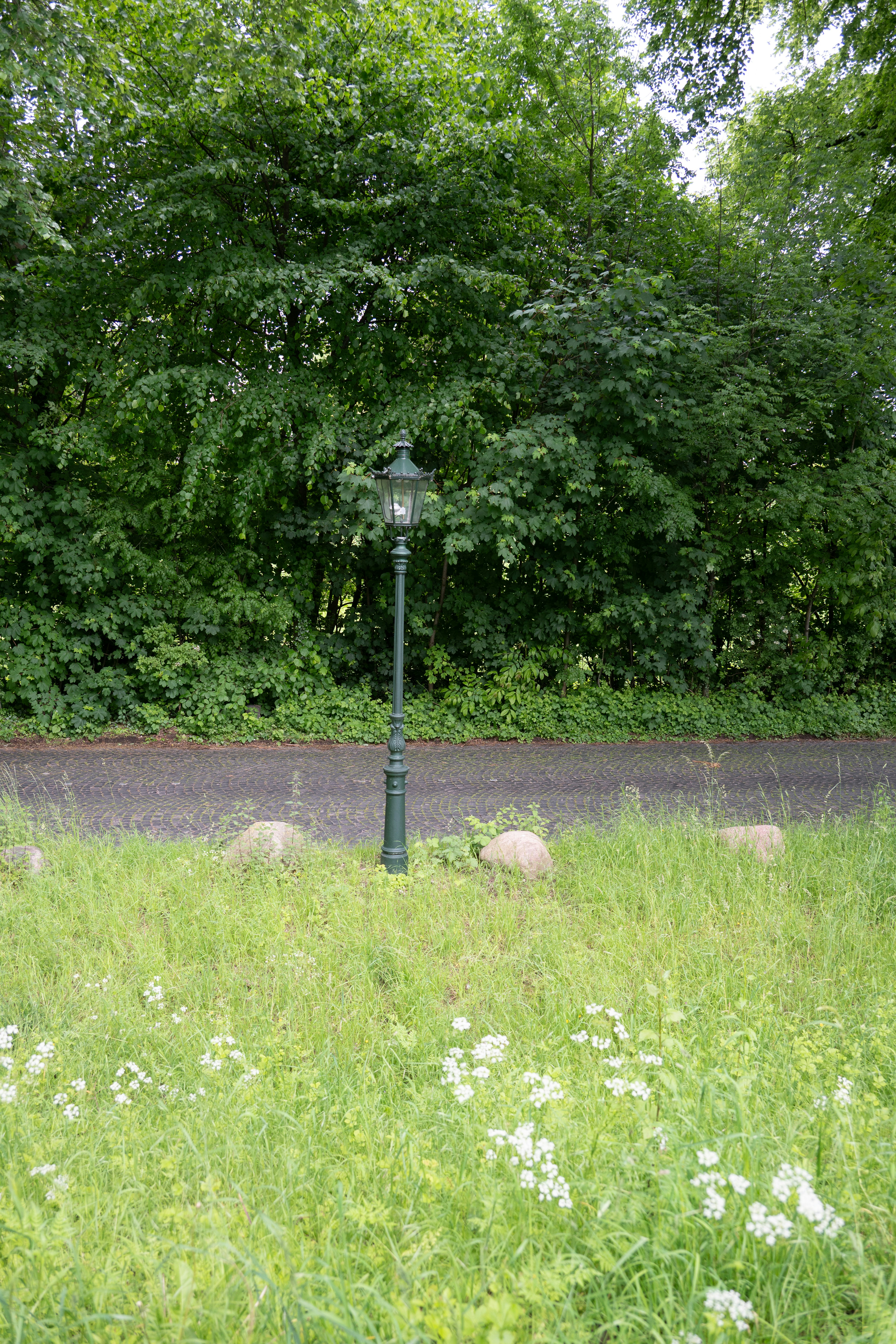 Lamp Post in a Quiet Park Clearing