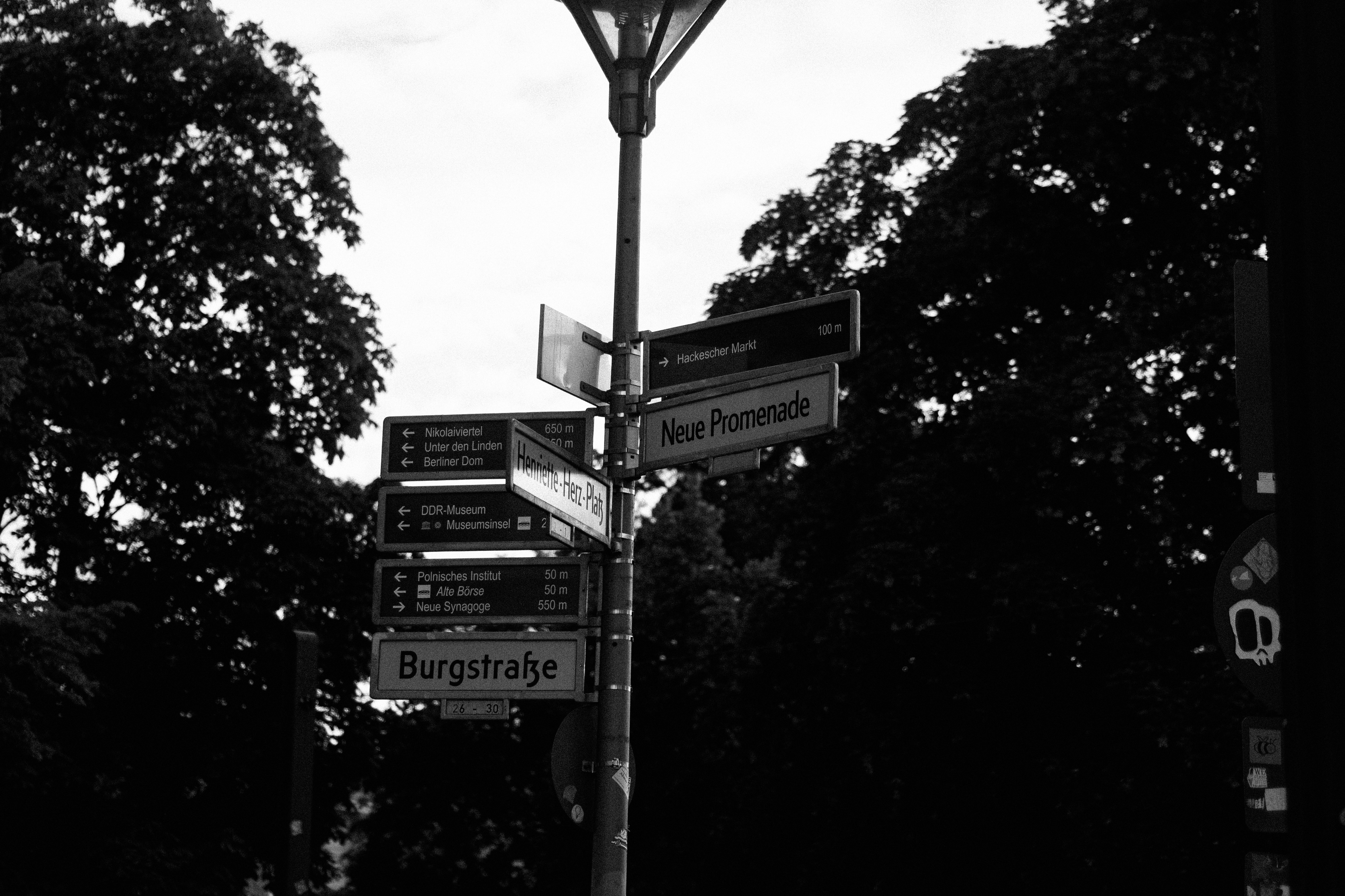 Signpost Symphony: A Quiet Street Corner in Monochrome