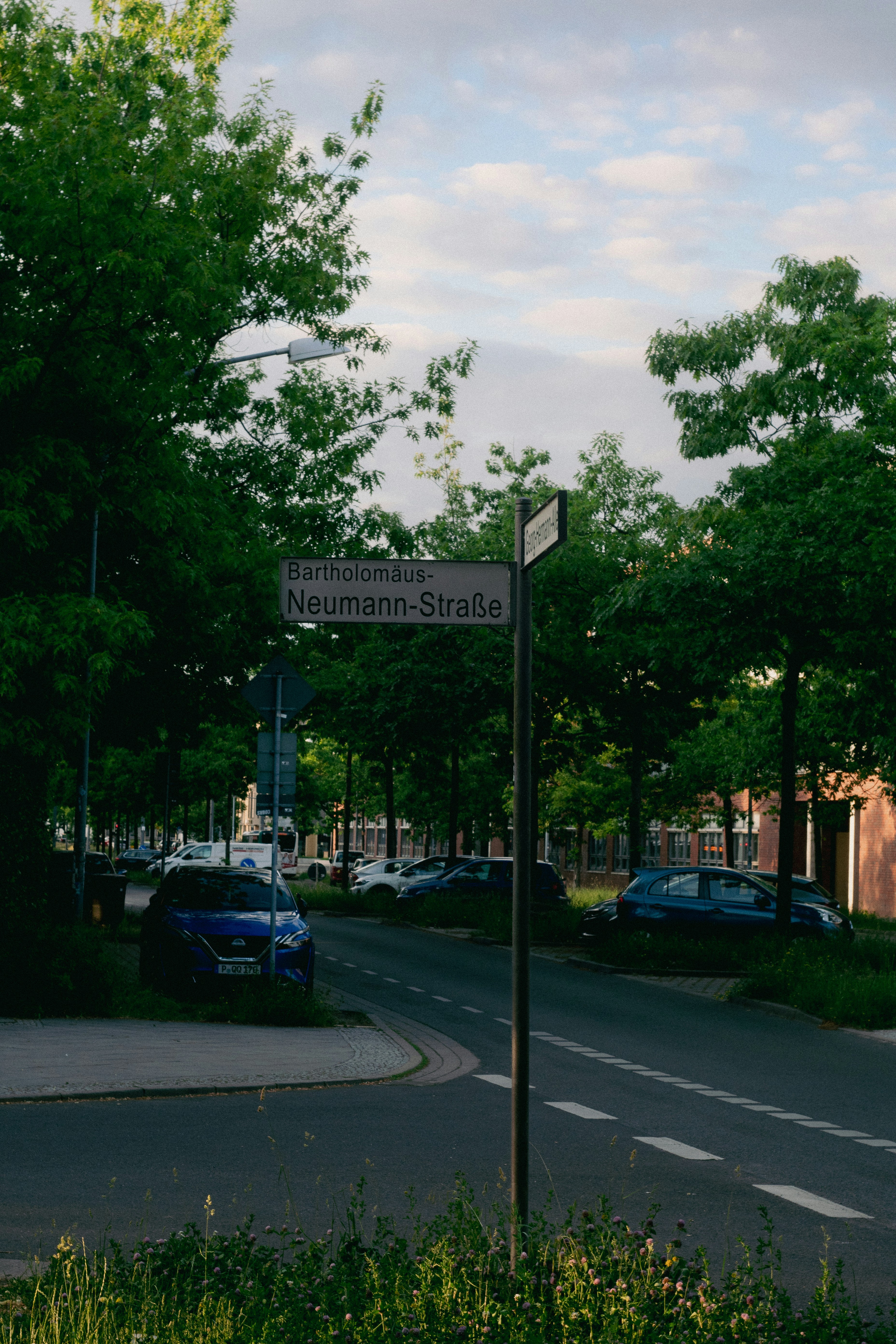Street Sign Amid Trees: Neuman-Straße in Soft Dusk