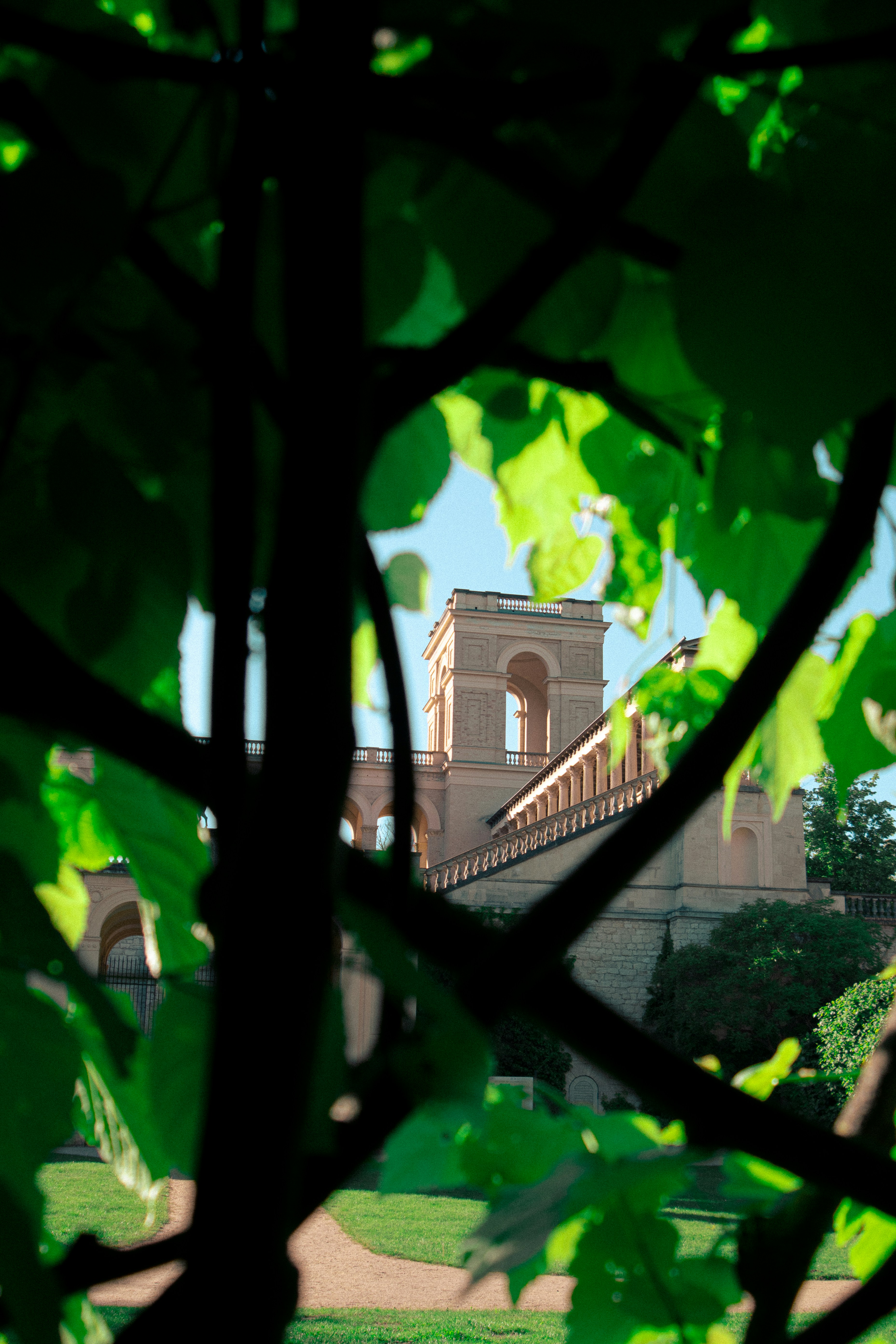 Castle through the Green Veil: Architecture Framed by Leaves