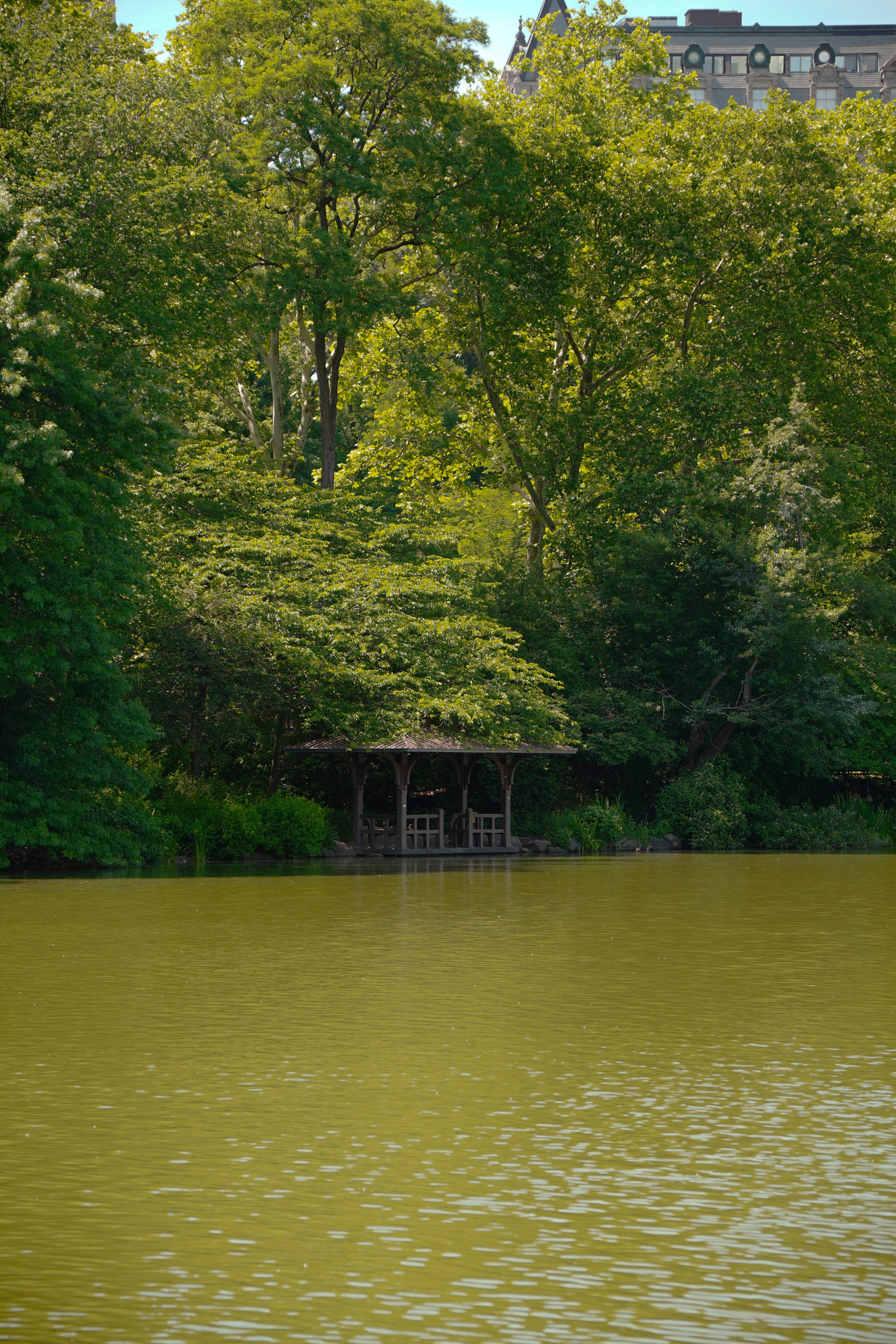 Hidden Arbor Over the Lime Lake
