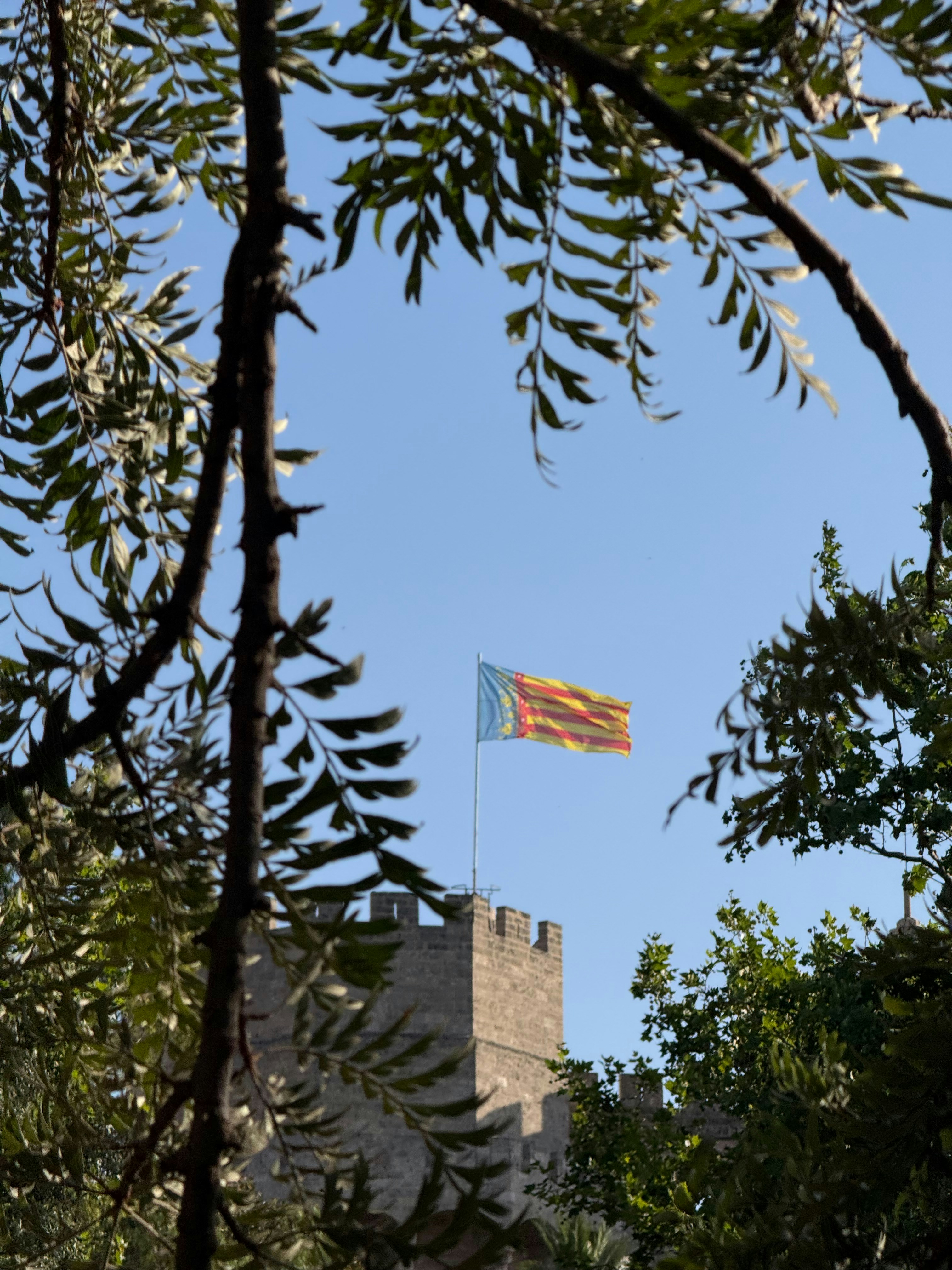 Senyera flag above a castle tower through green leaves.