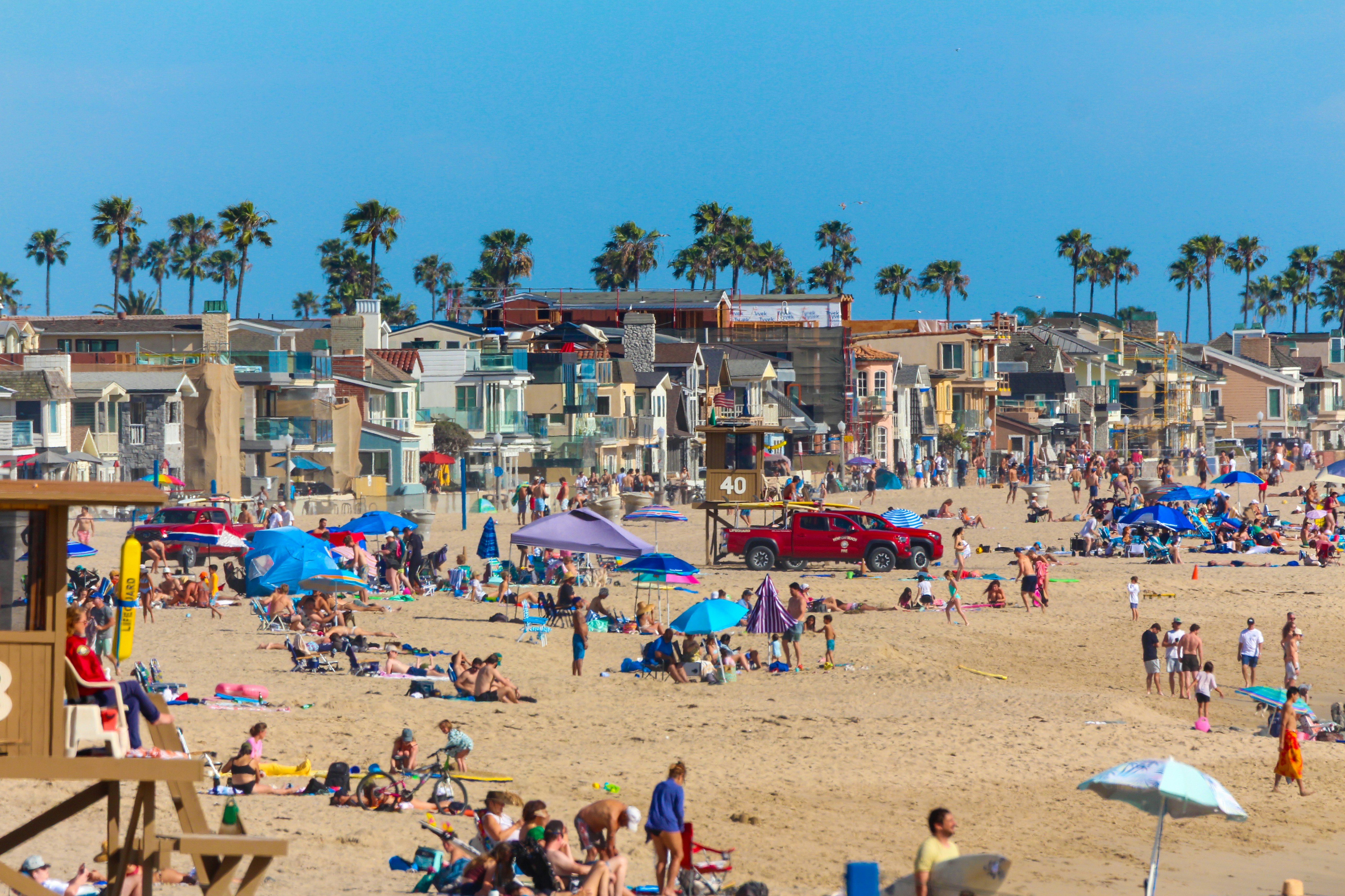Sunlit Beach Boulevard: A Coastal Crowd Dotted with Color and Palm Shadows