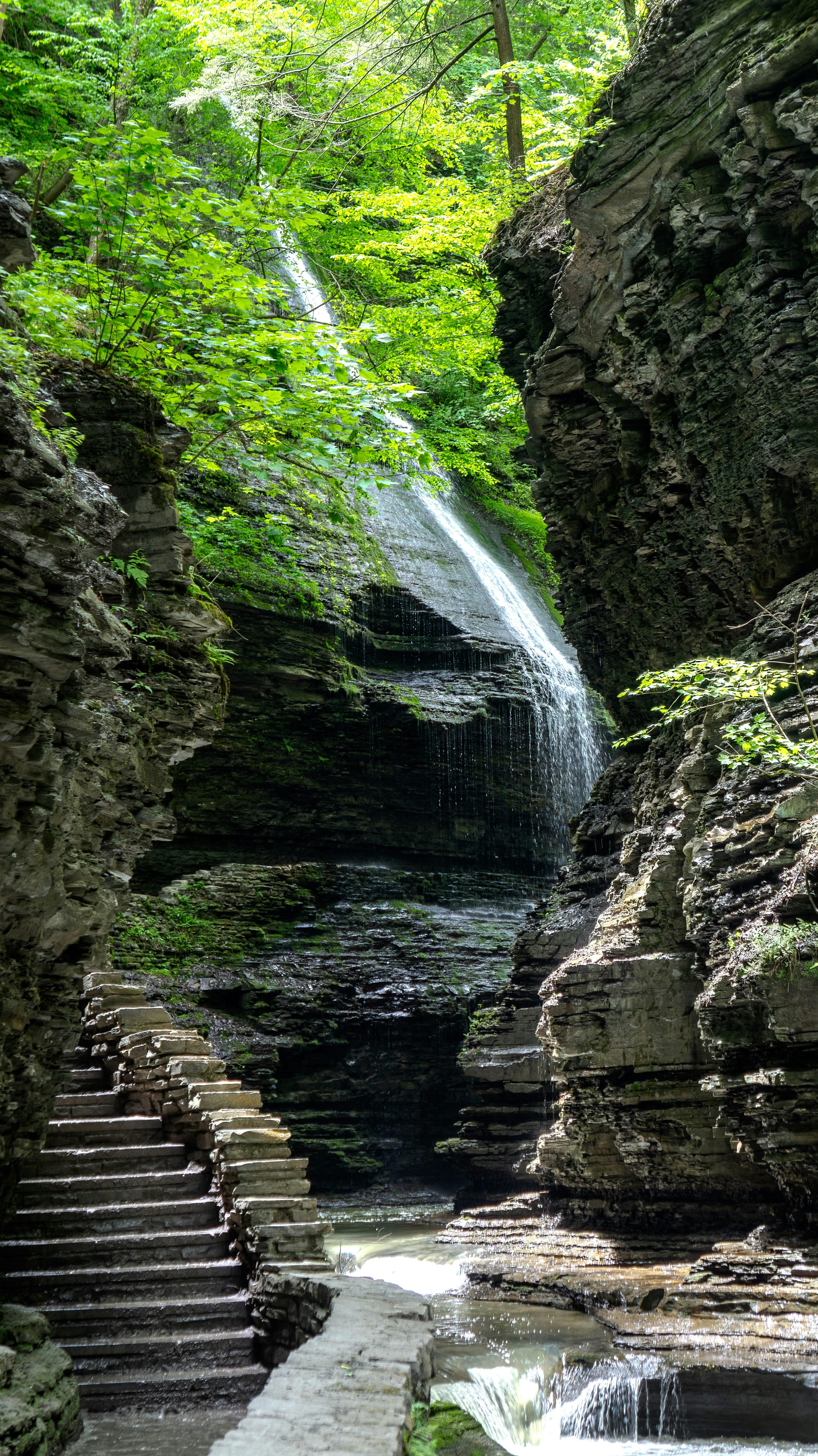 Hidden Gorge Cascade: A Stone Stairway into Green Quiet