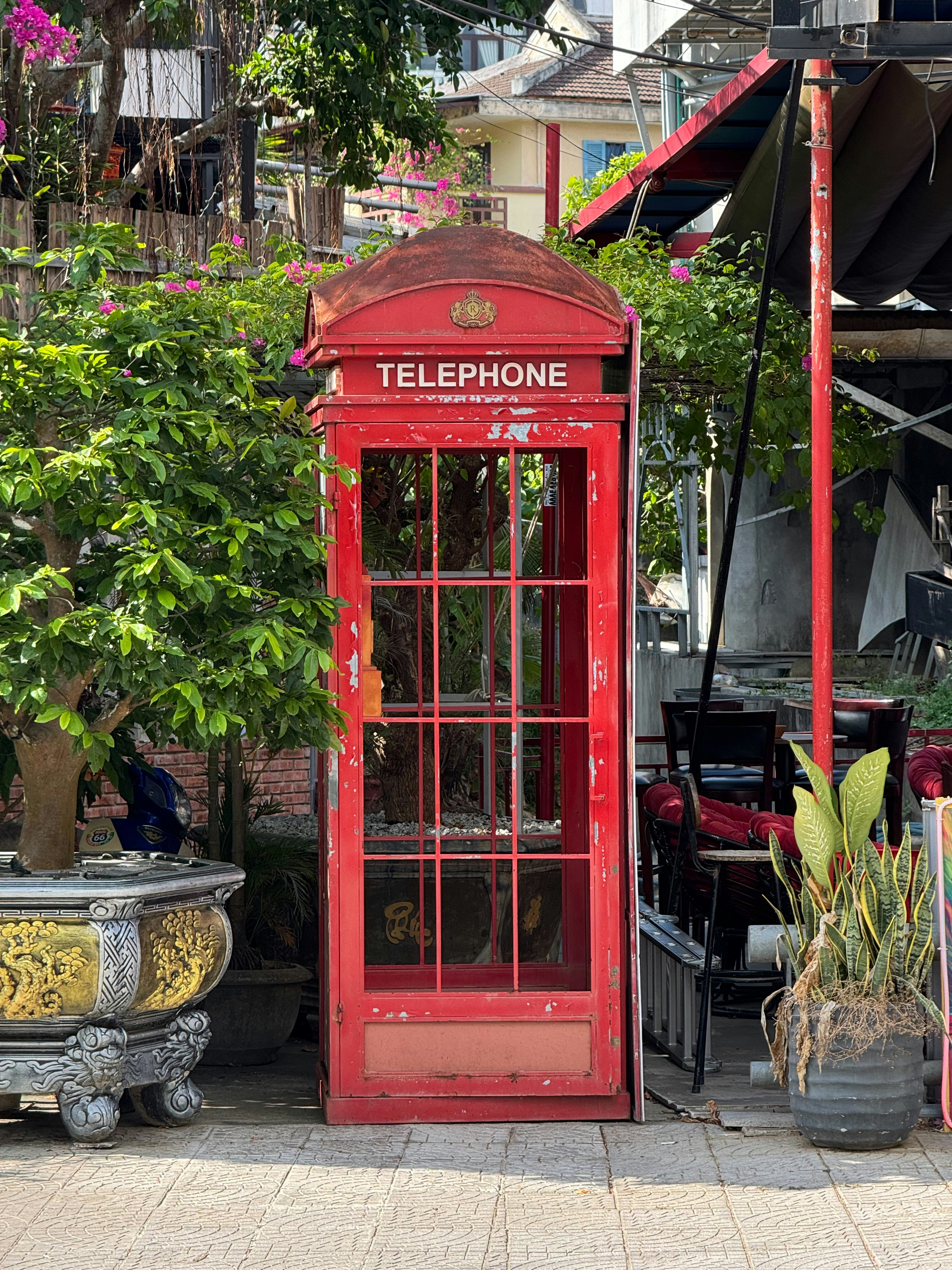 Red British Telephone Box Framed by Lush Urban Foliage