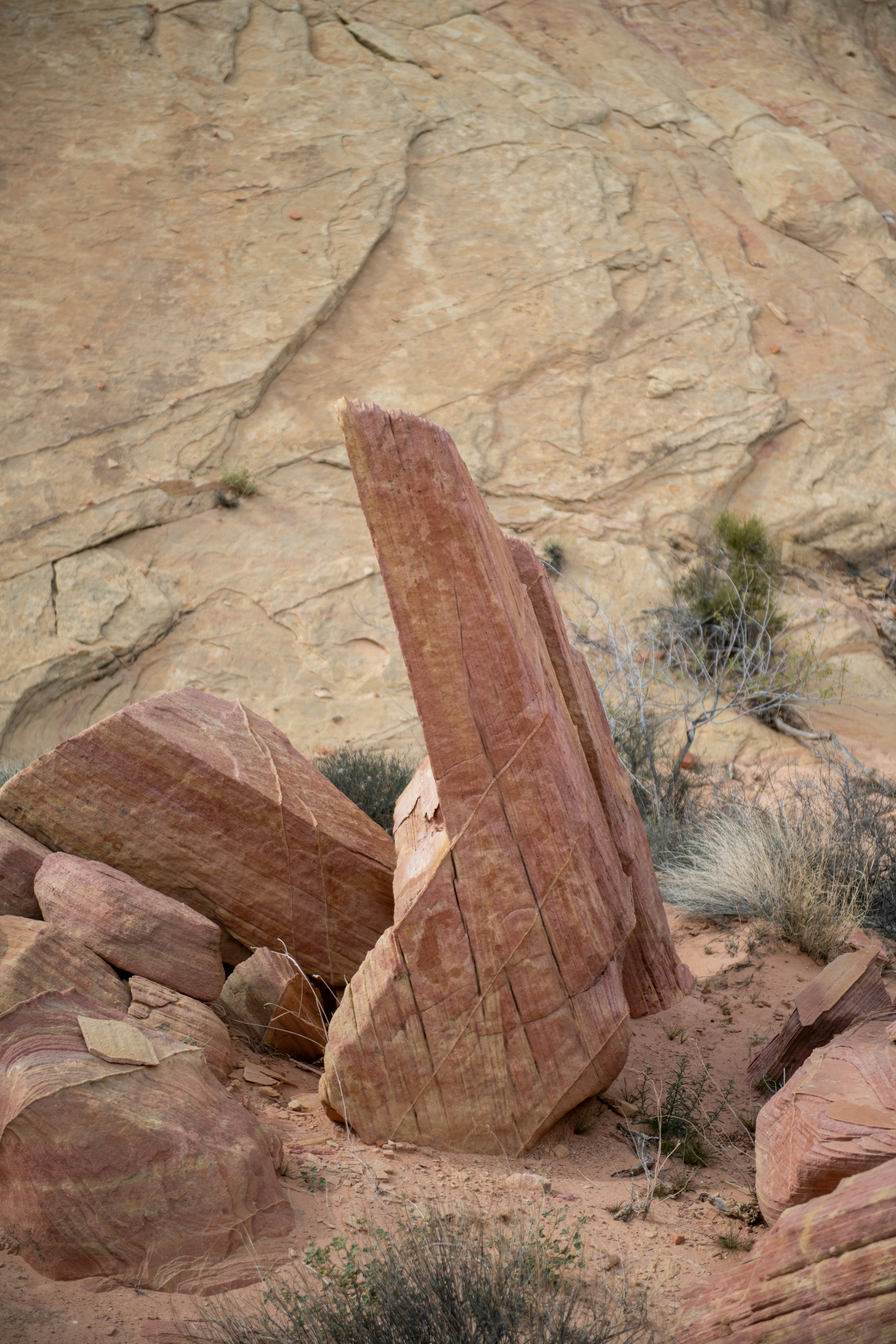Echoes of Red Rock: A Geologic Chalice in Desert Light