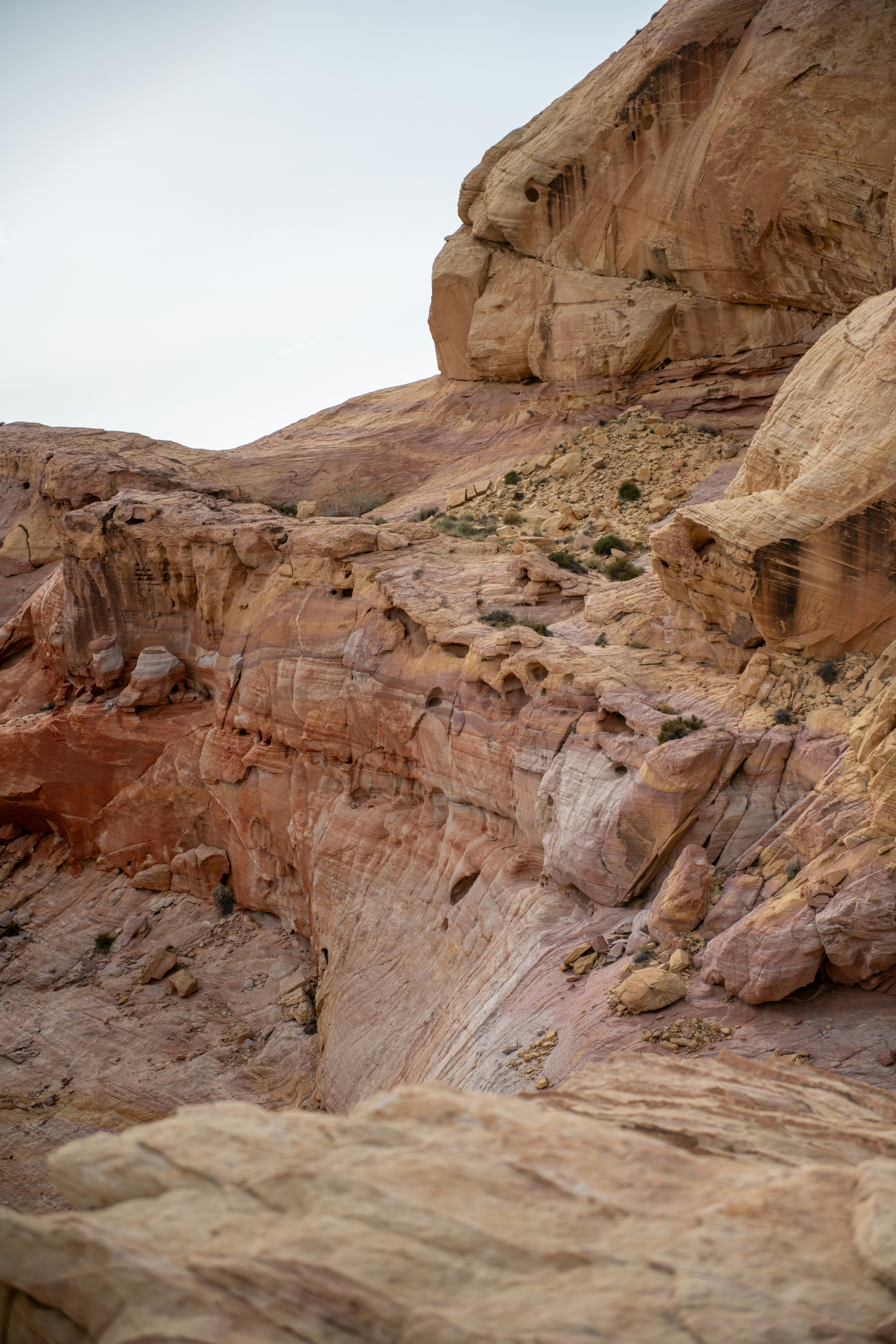 Desert Cliff Portrait: Eroded Strata and Weathered Light