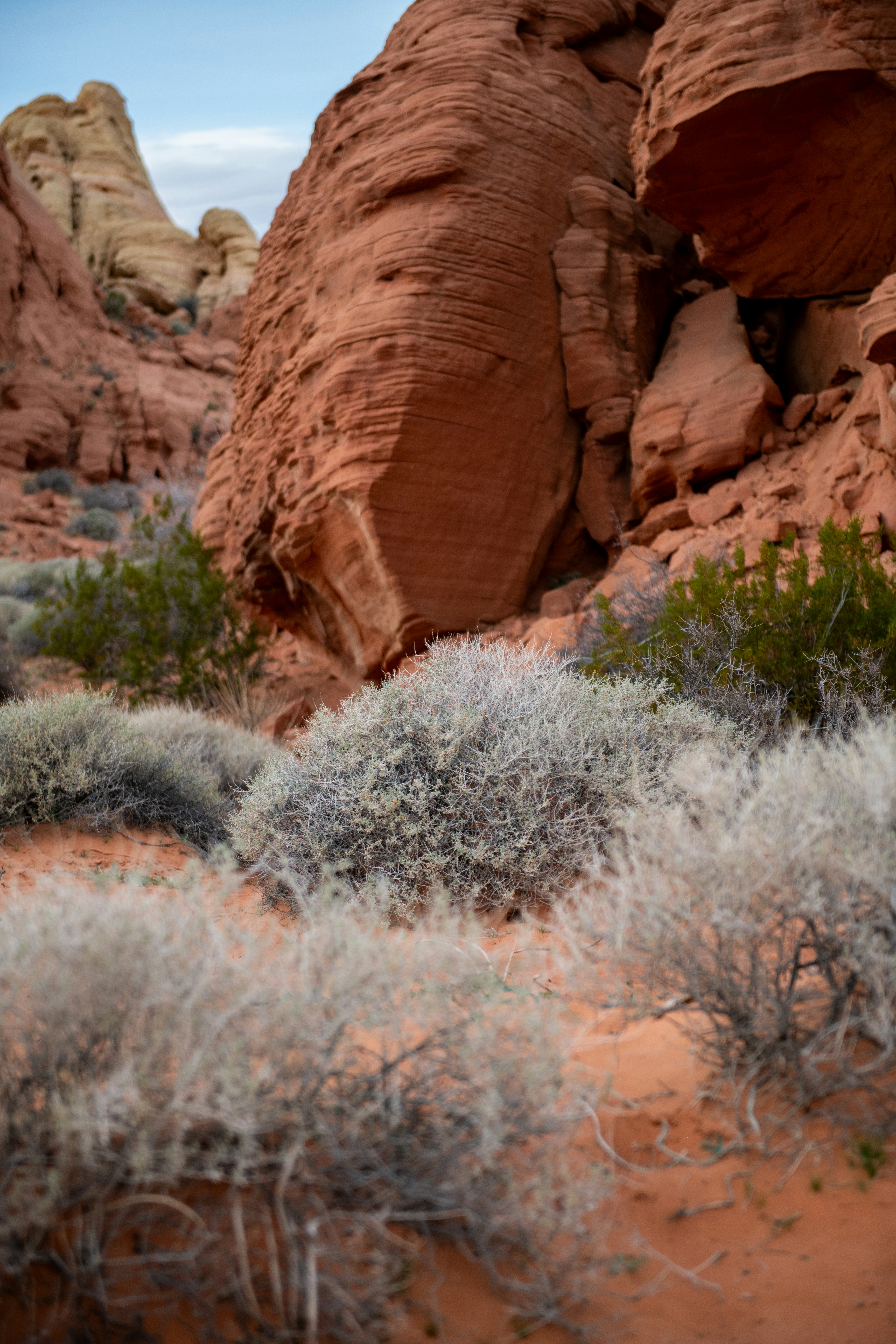 Red Stone Echoes: Desert Scrub Beneath Monumental Formations