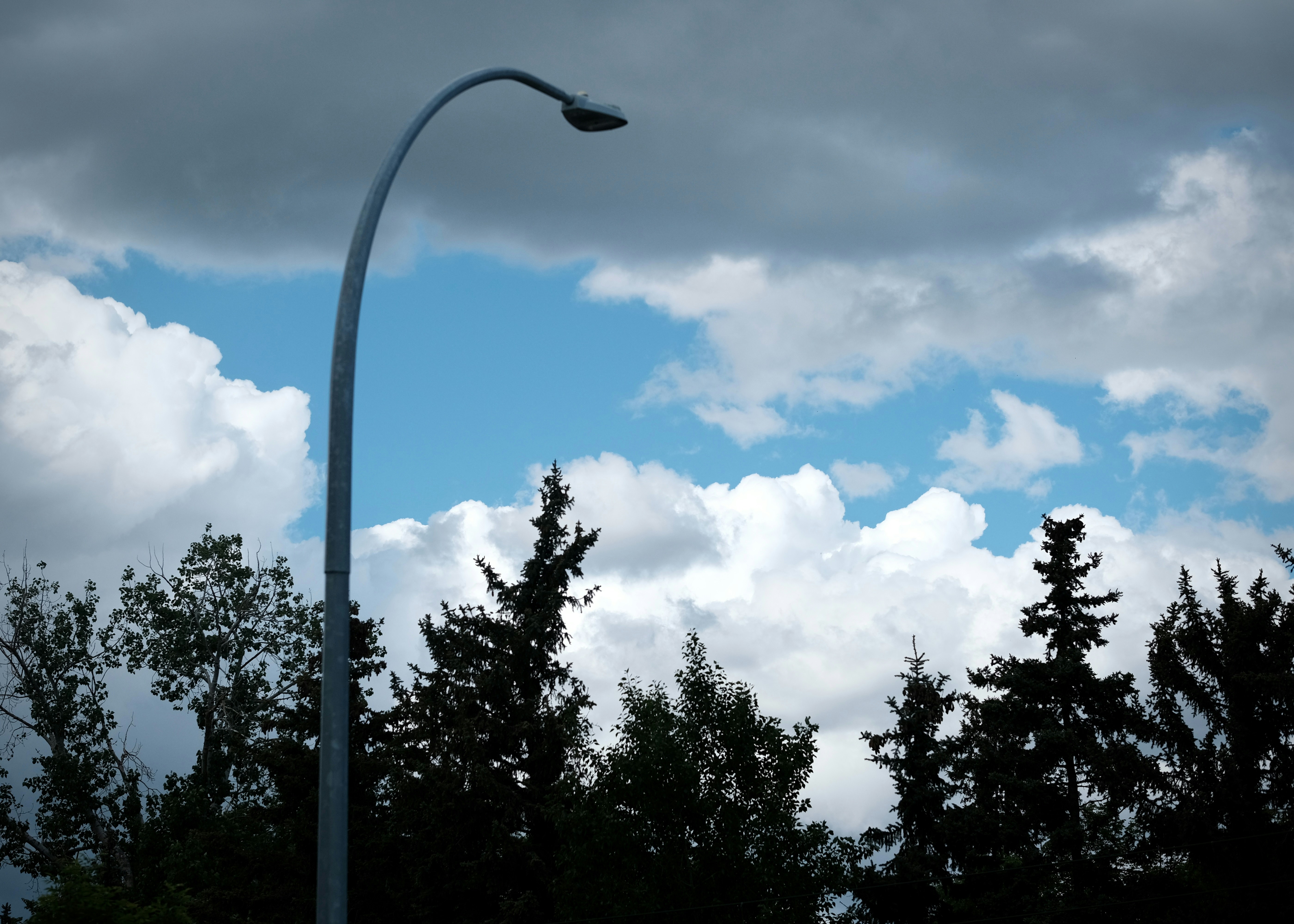 A street light and silhouetted trees against a cloudy sky.