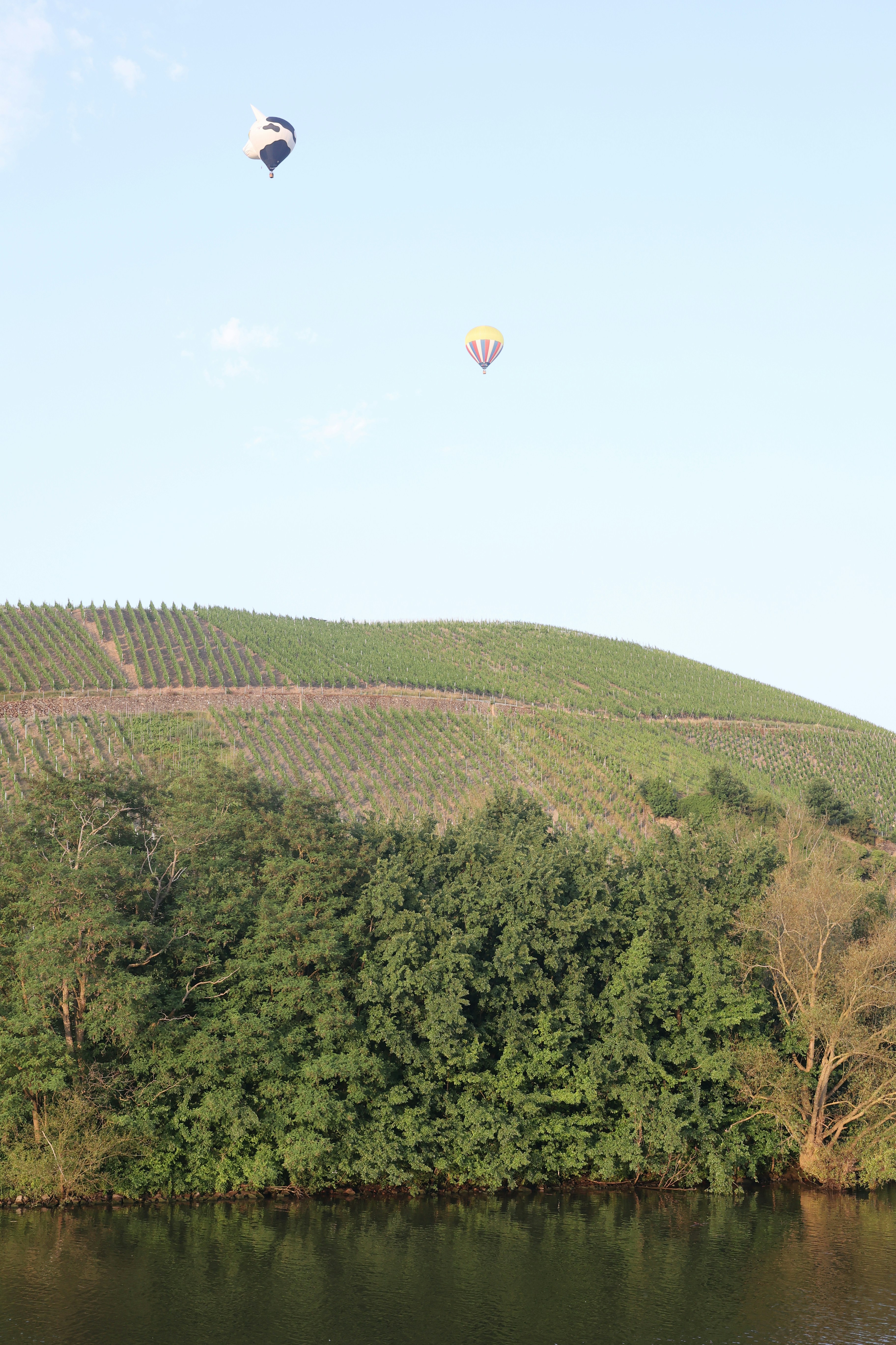 Vineyard Ridge and Floating Silhouettes