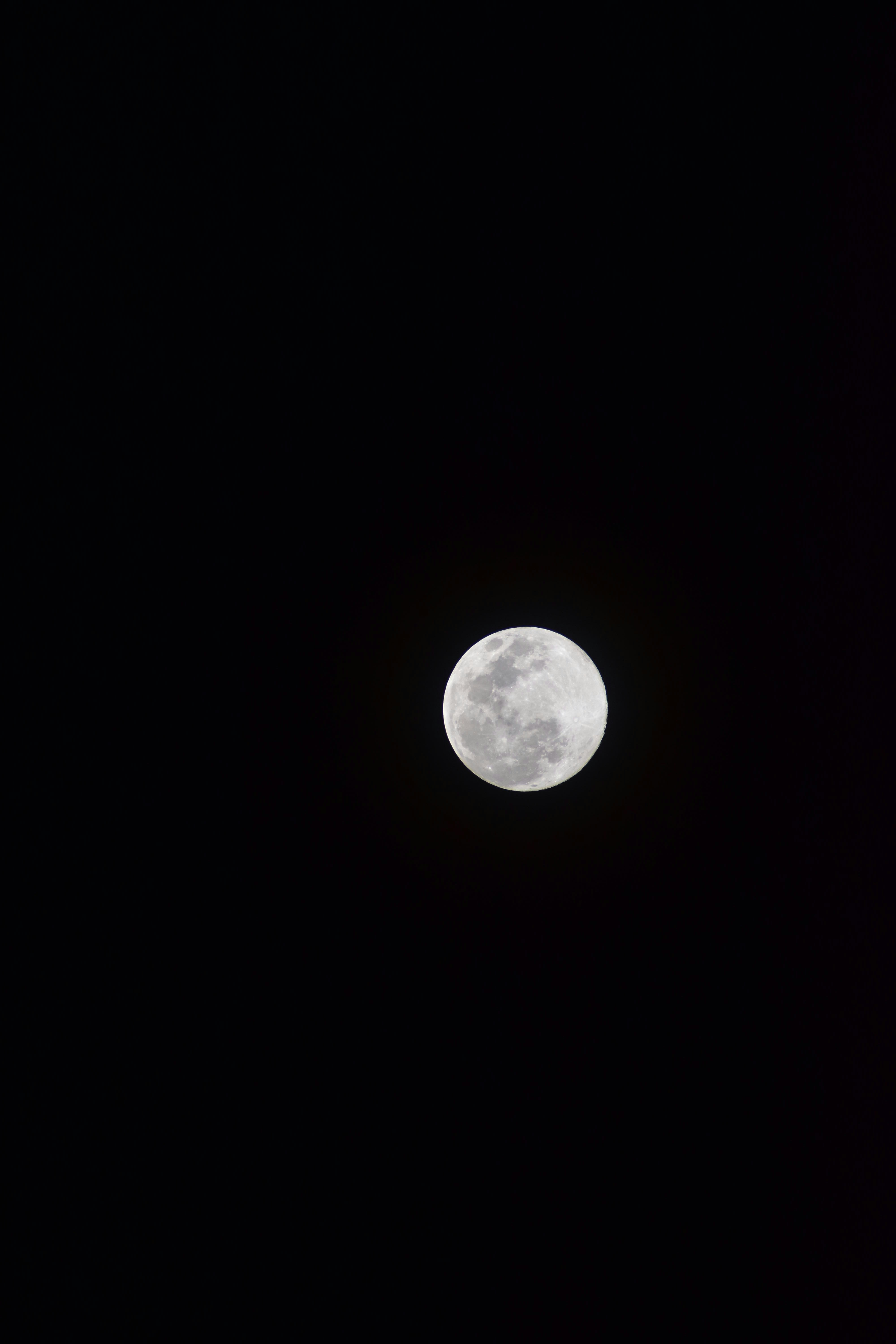 Lone Moon in a Velvet Sky