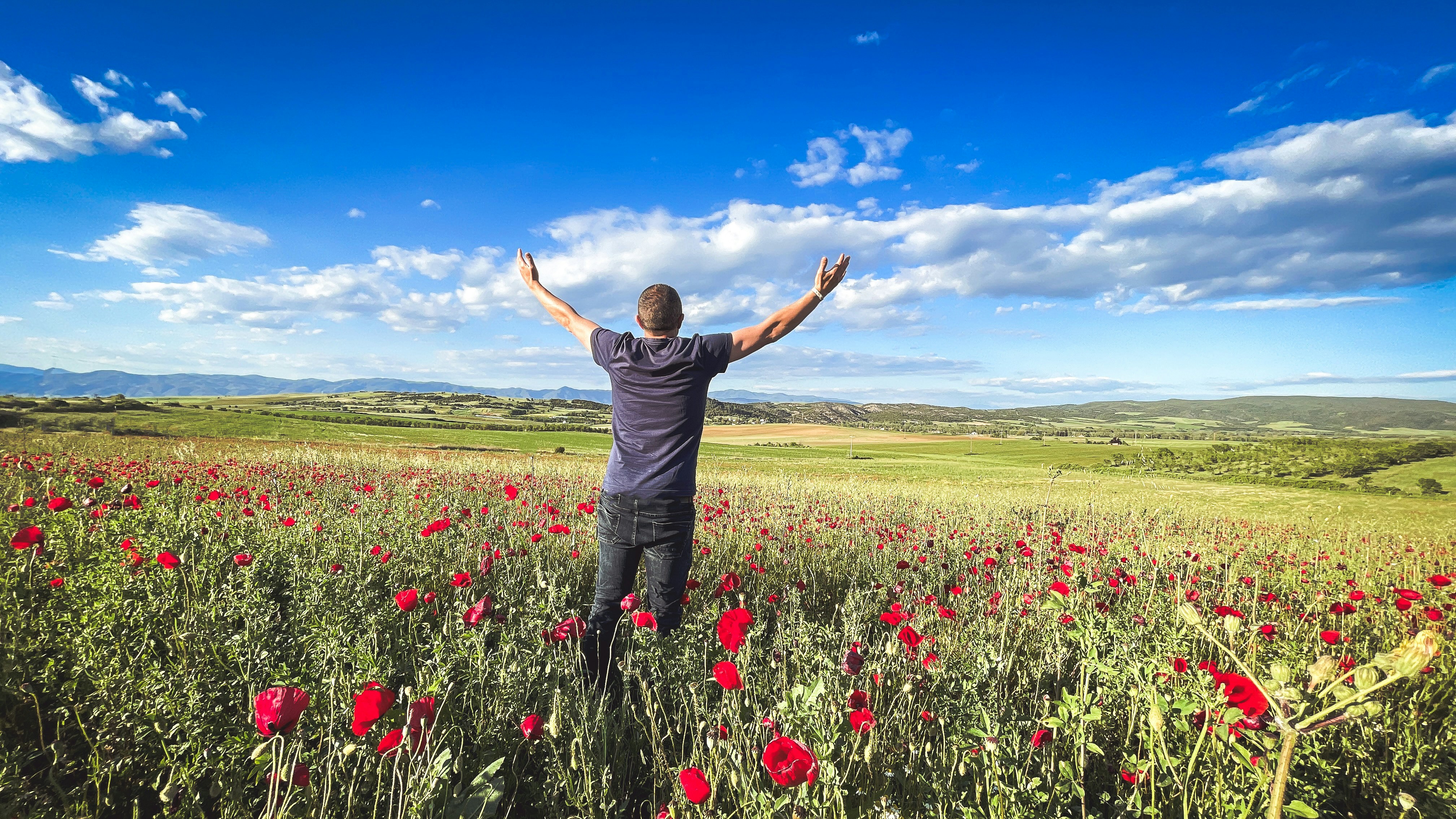 Man with outstretched arms in a vibrant red poppy field.