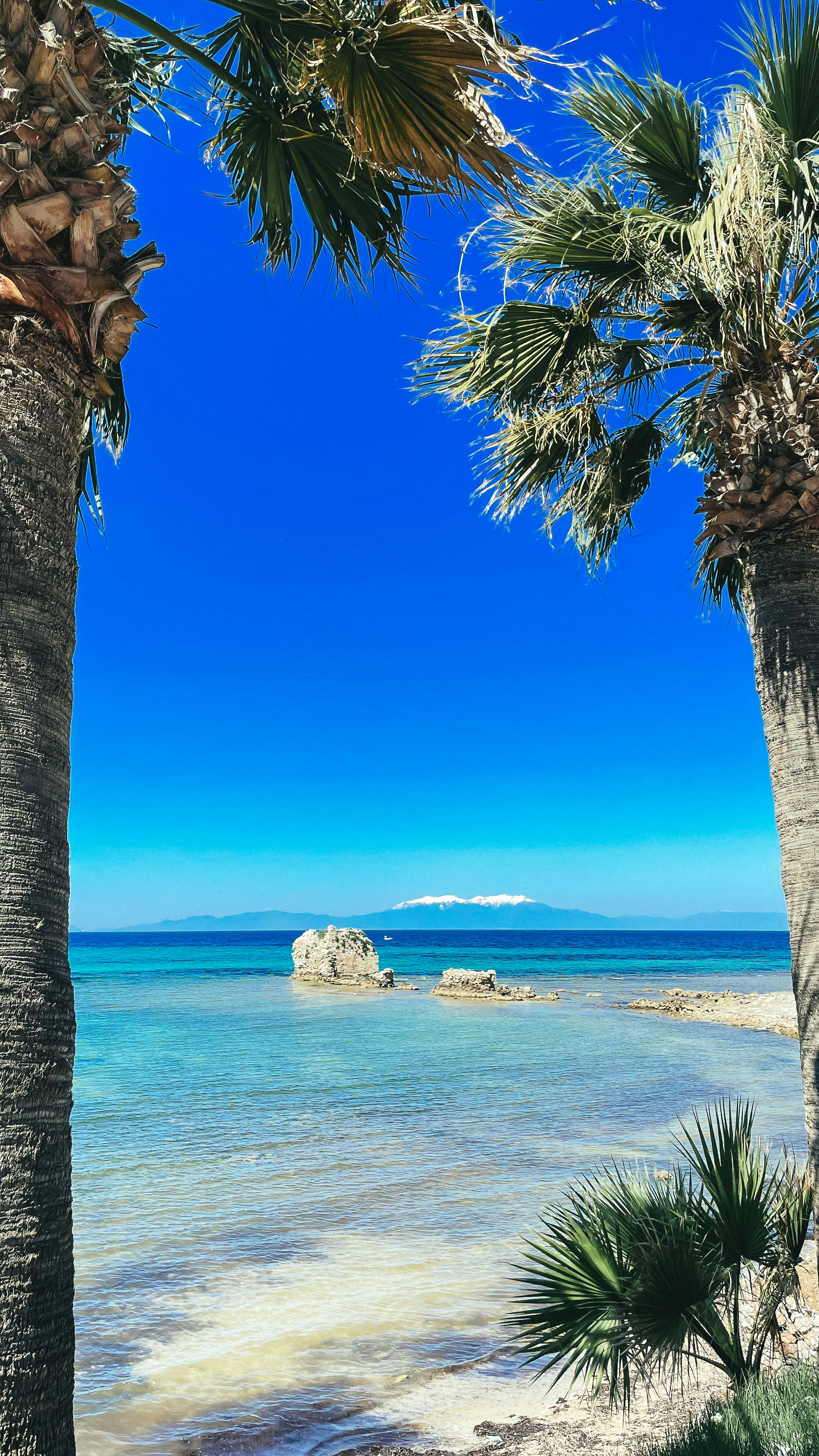 Palms Framing a Sapphire Sea