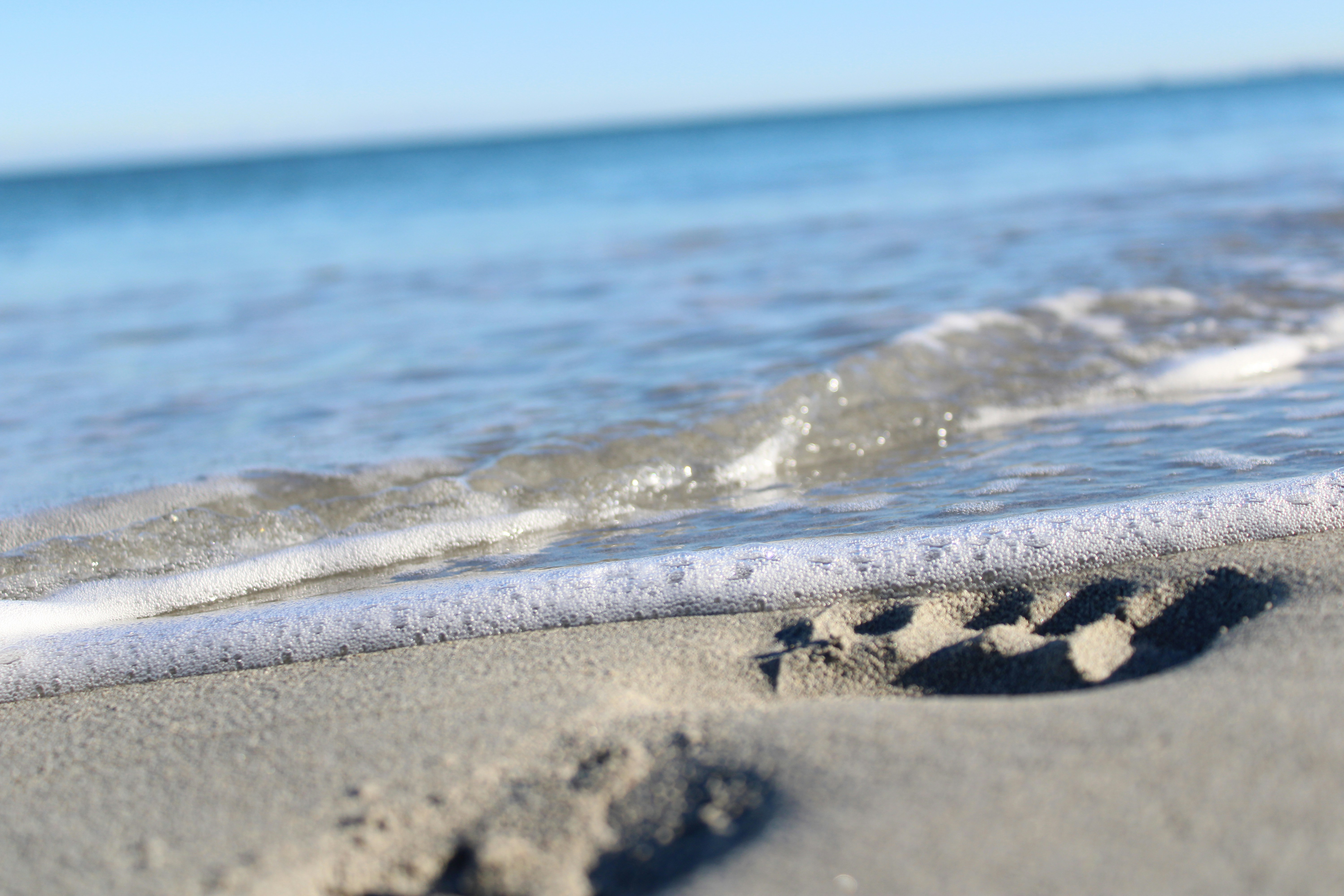 Foam at the Edge: A Quiet Moment on Sunlit Sand