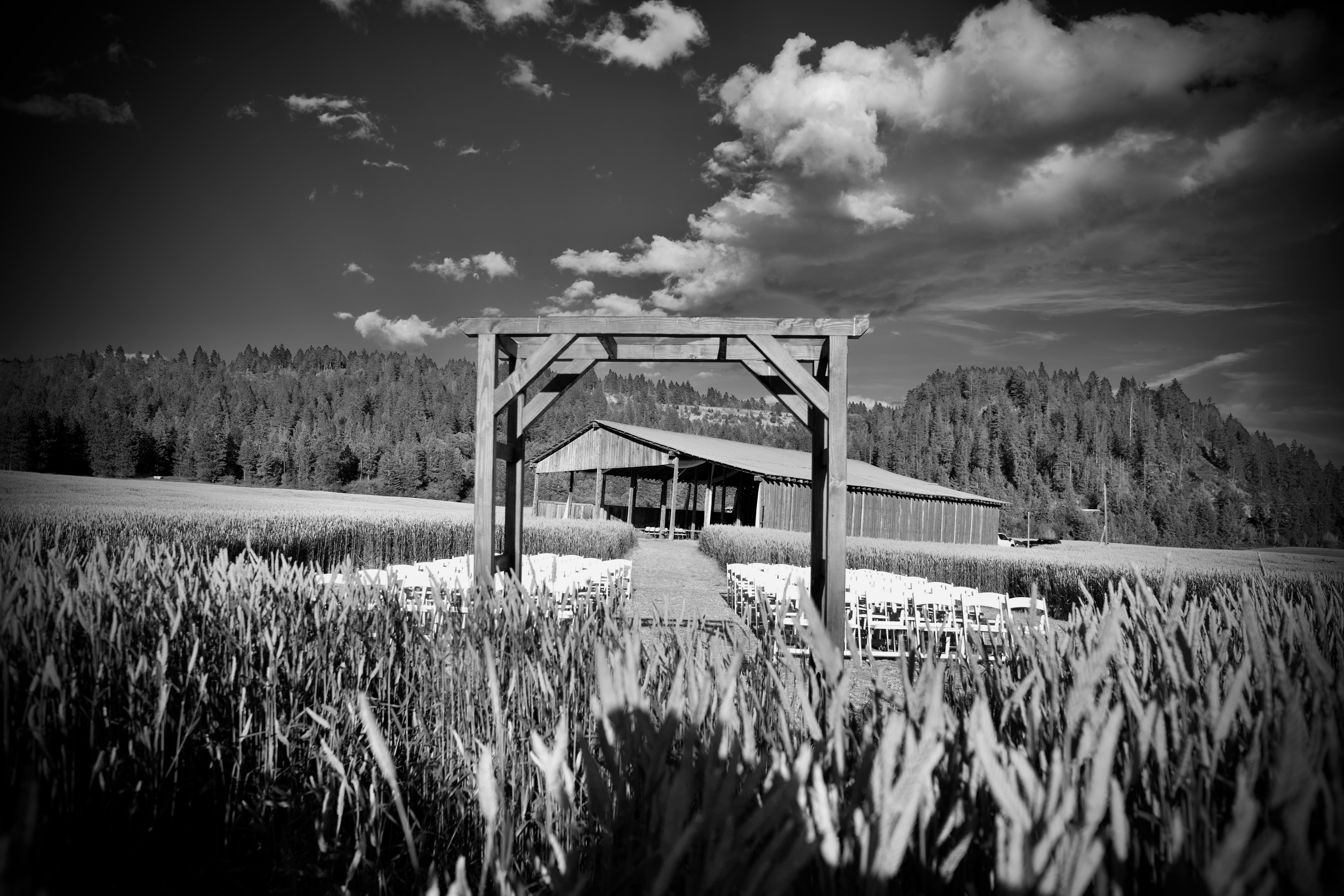 Wooden Gate to the Past: Farmstead Framed by Tall Grass