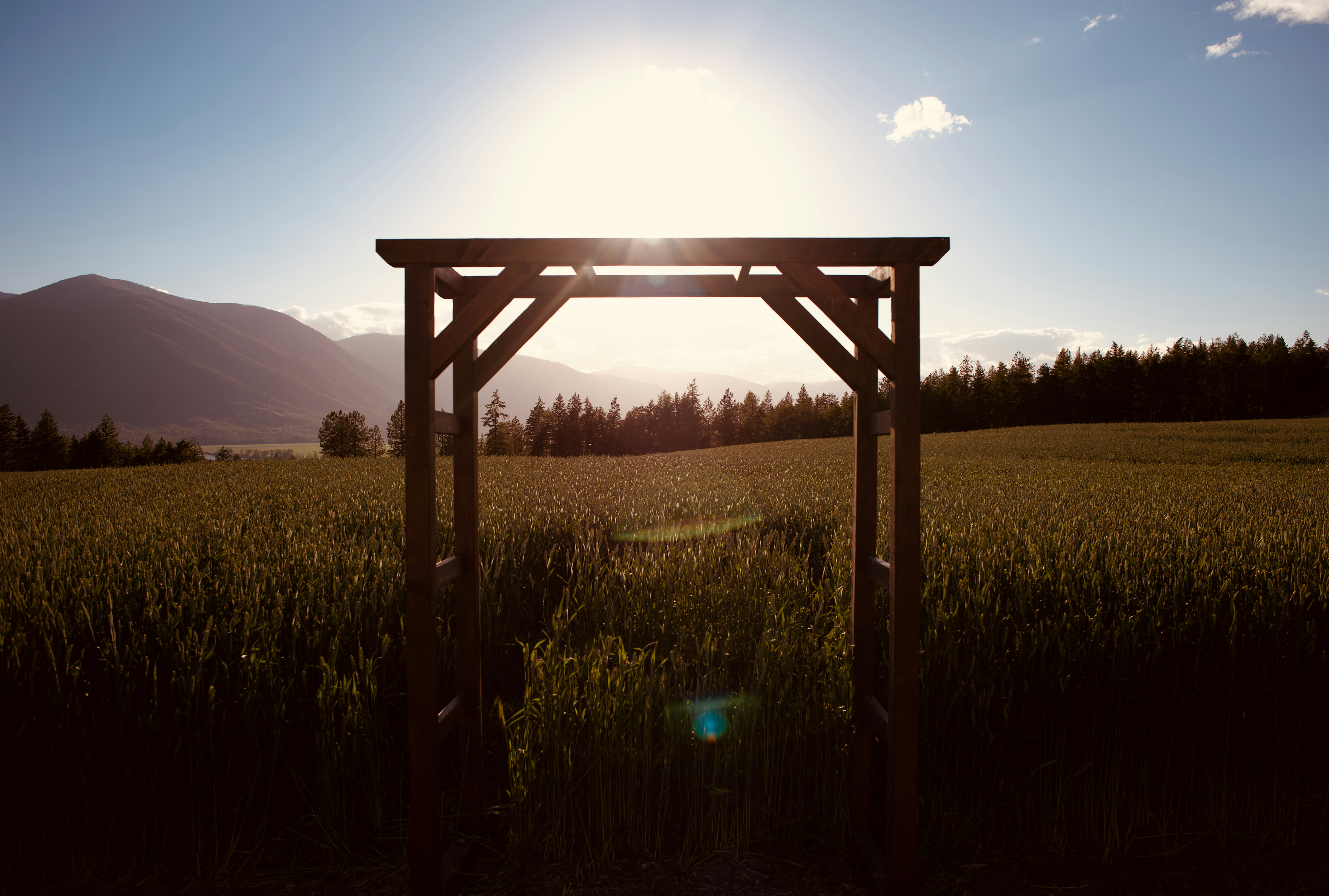 Sunlit Gateframe in a Golden Field