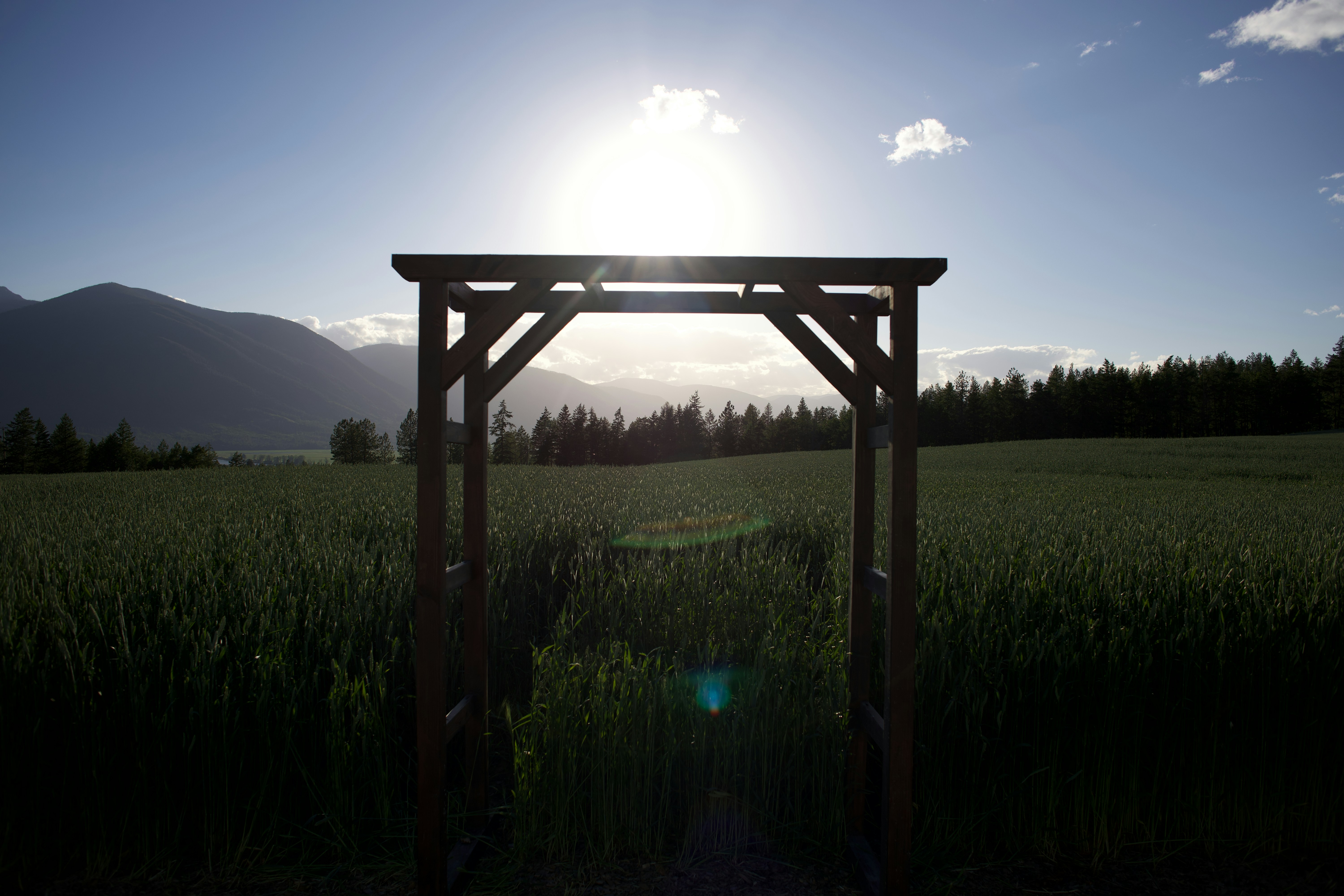 Sunlit Frame: An Open Archway Grins at a Living Field