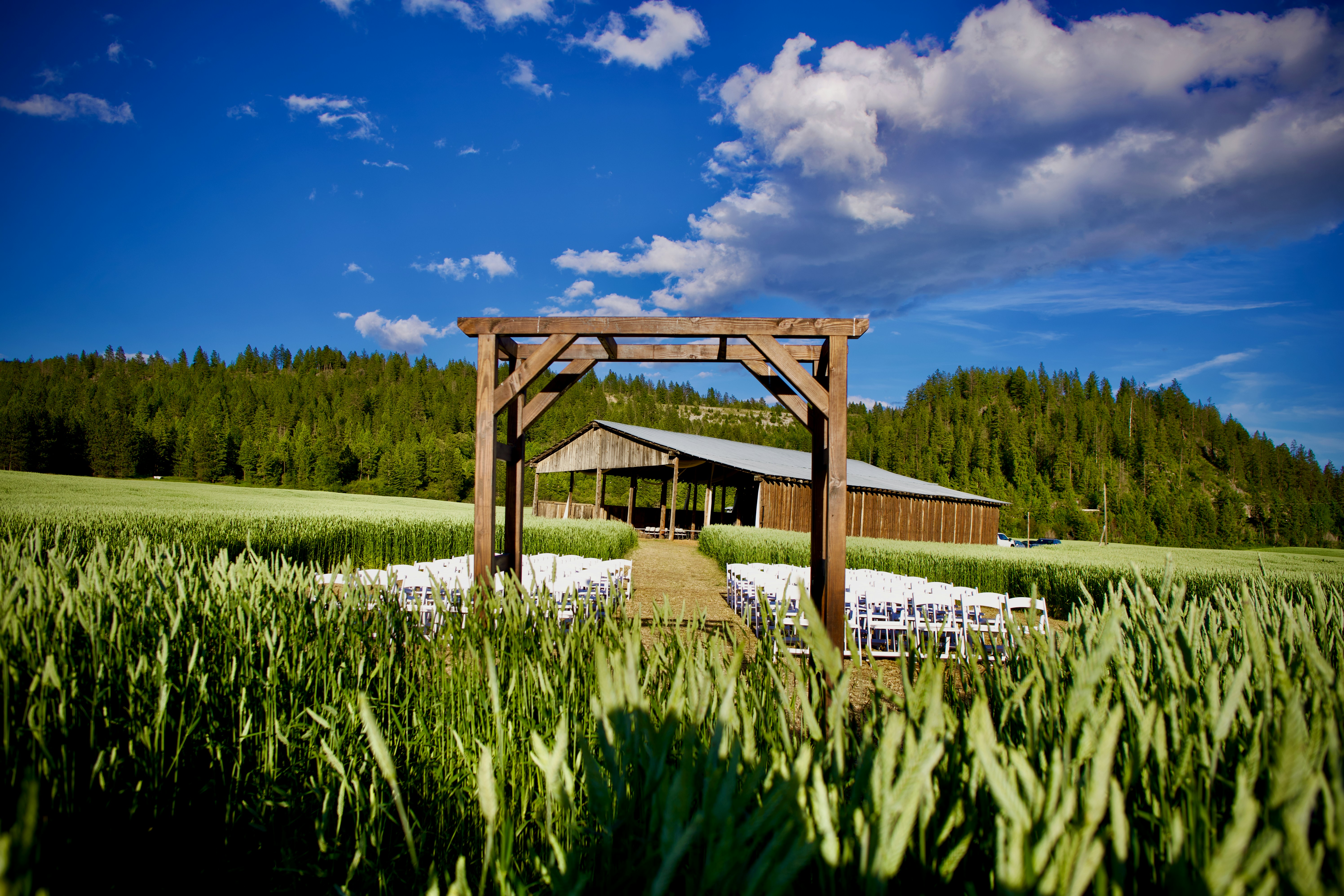 Wooden archway framing a sunlit field ceremony
