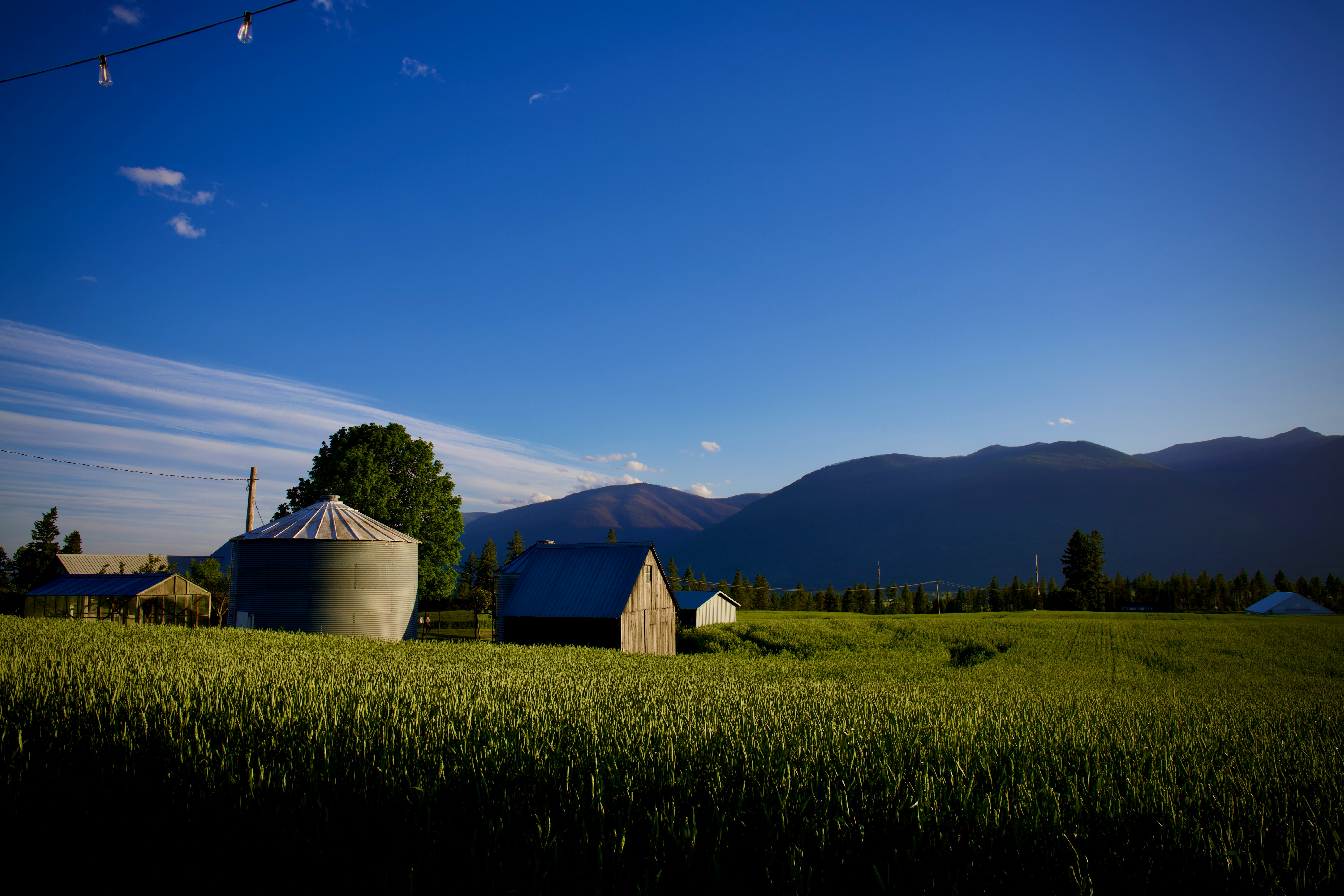Sunlit Farmstead Beneath a Crowned Sky