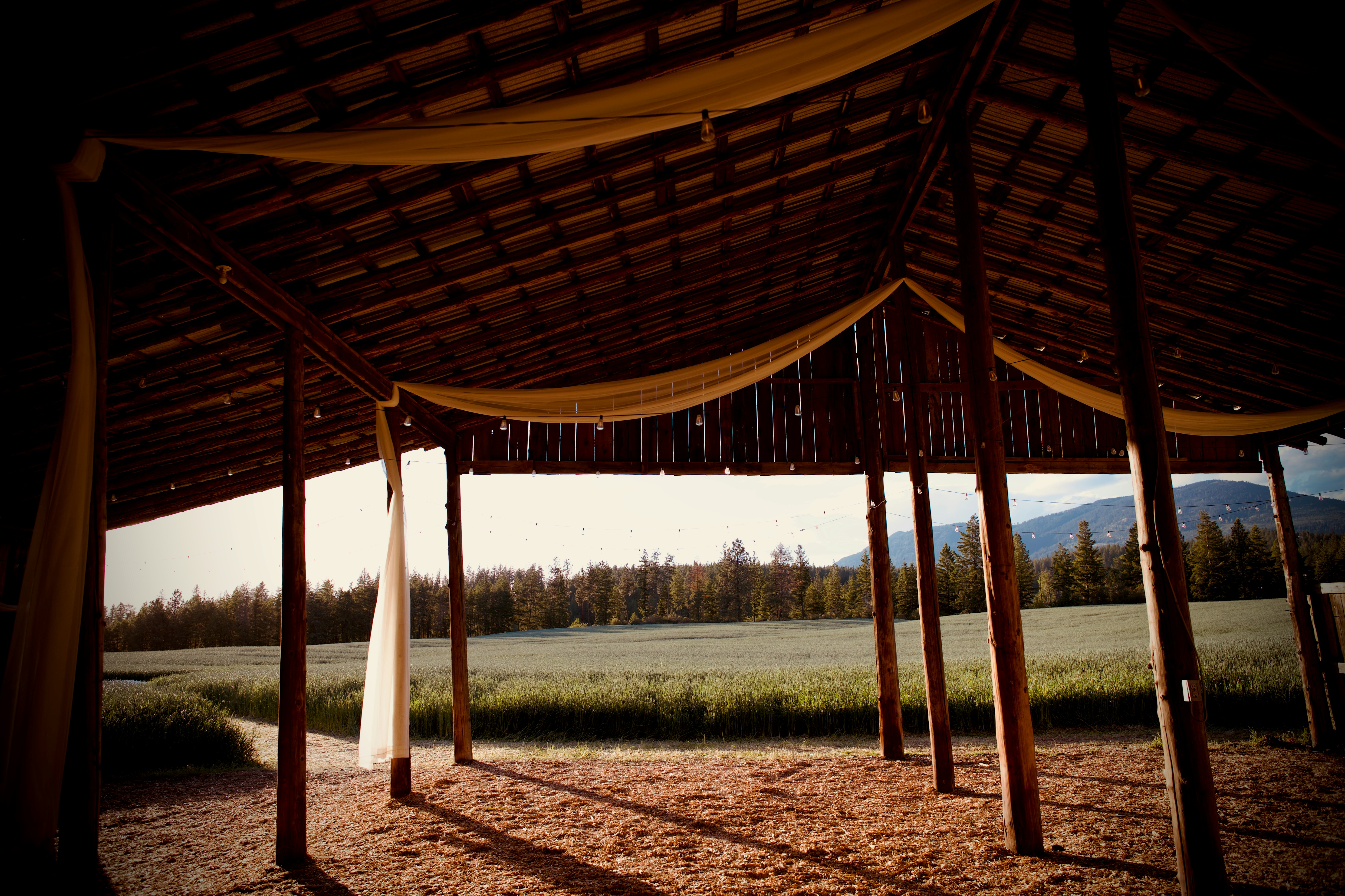 Sunlit Shelter: A Quiet Field Under a Wooden Canopy