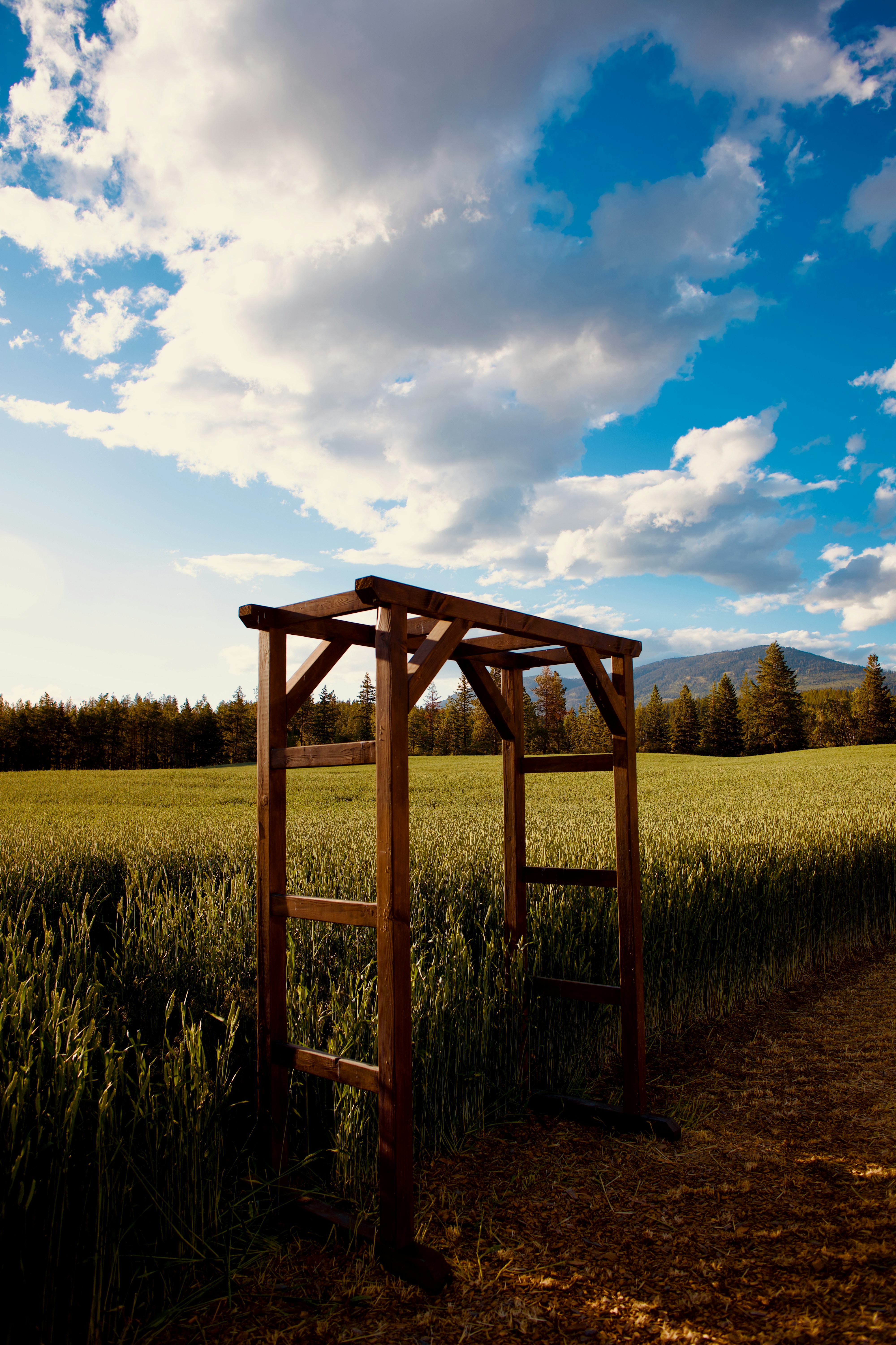 Wooden Arbor Framed Against a Golden Field