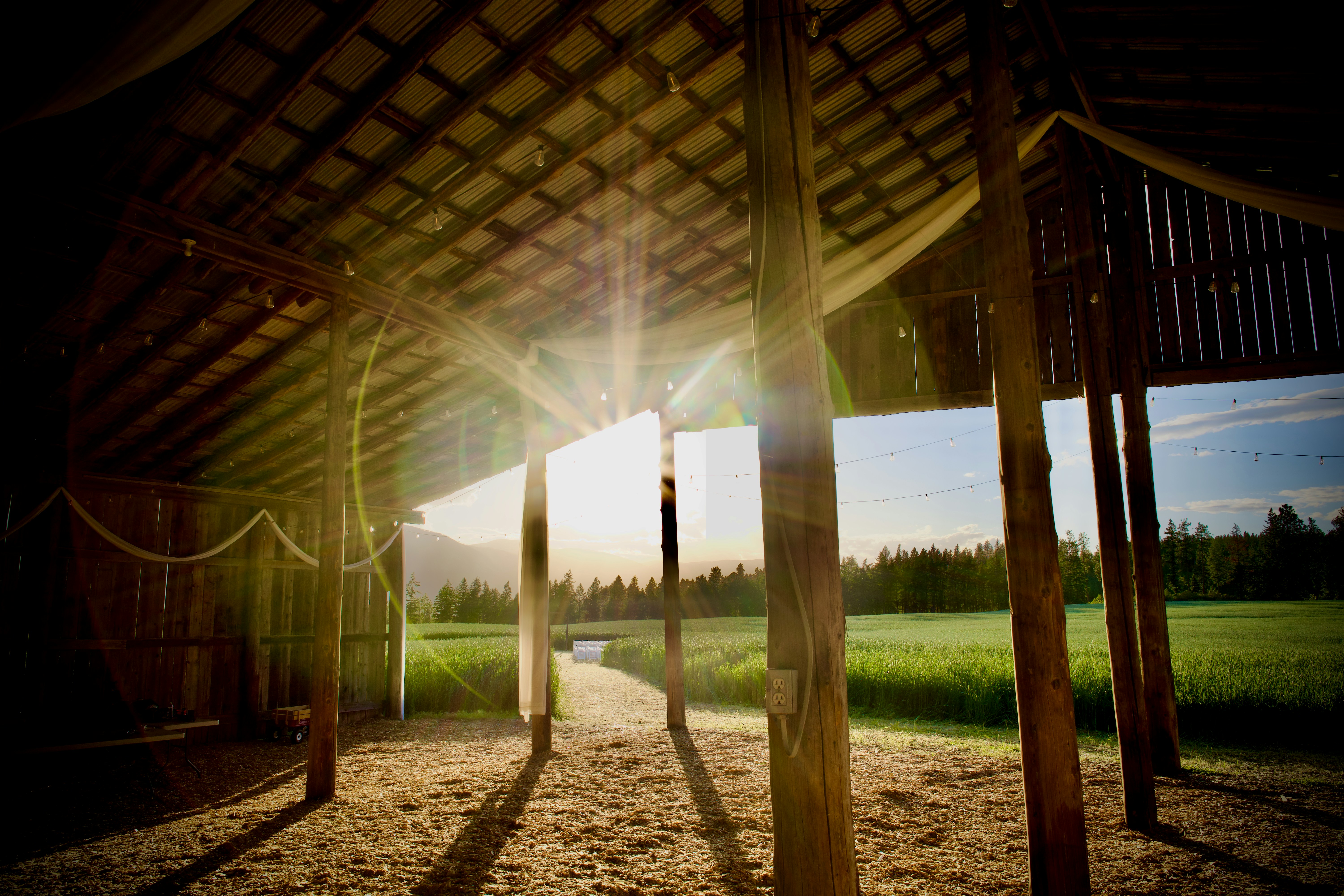 Sunlight fills a wooden barn, revealing green fields outside.