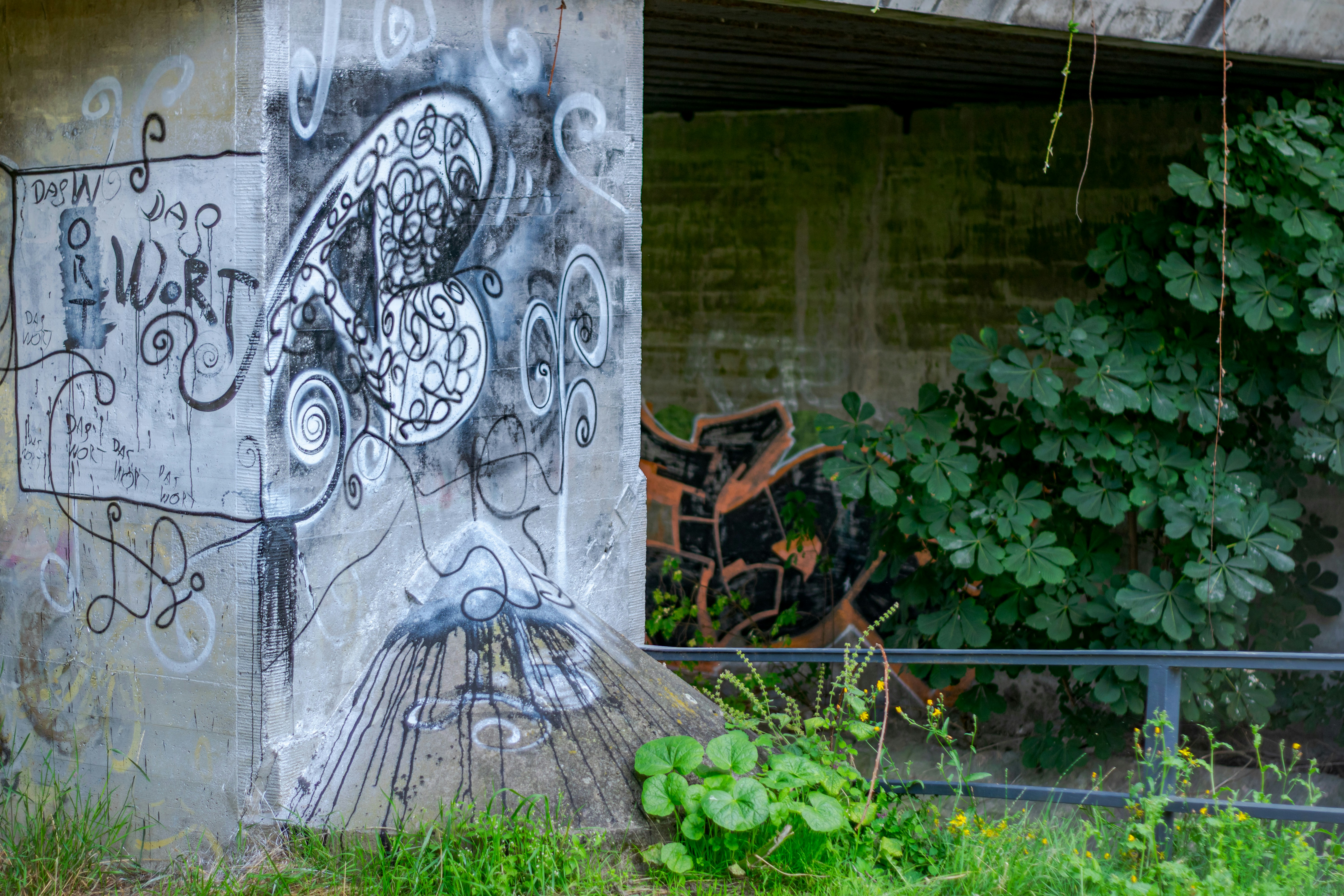 Concrete Graffiti and Overgrown Corridor
