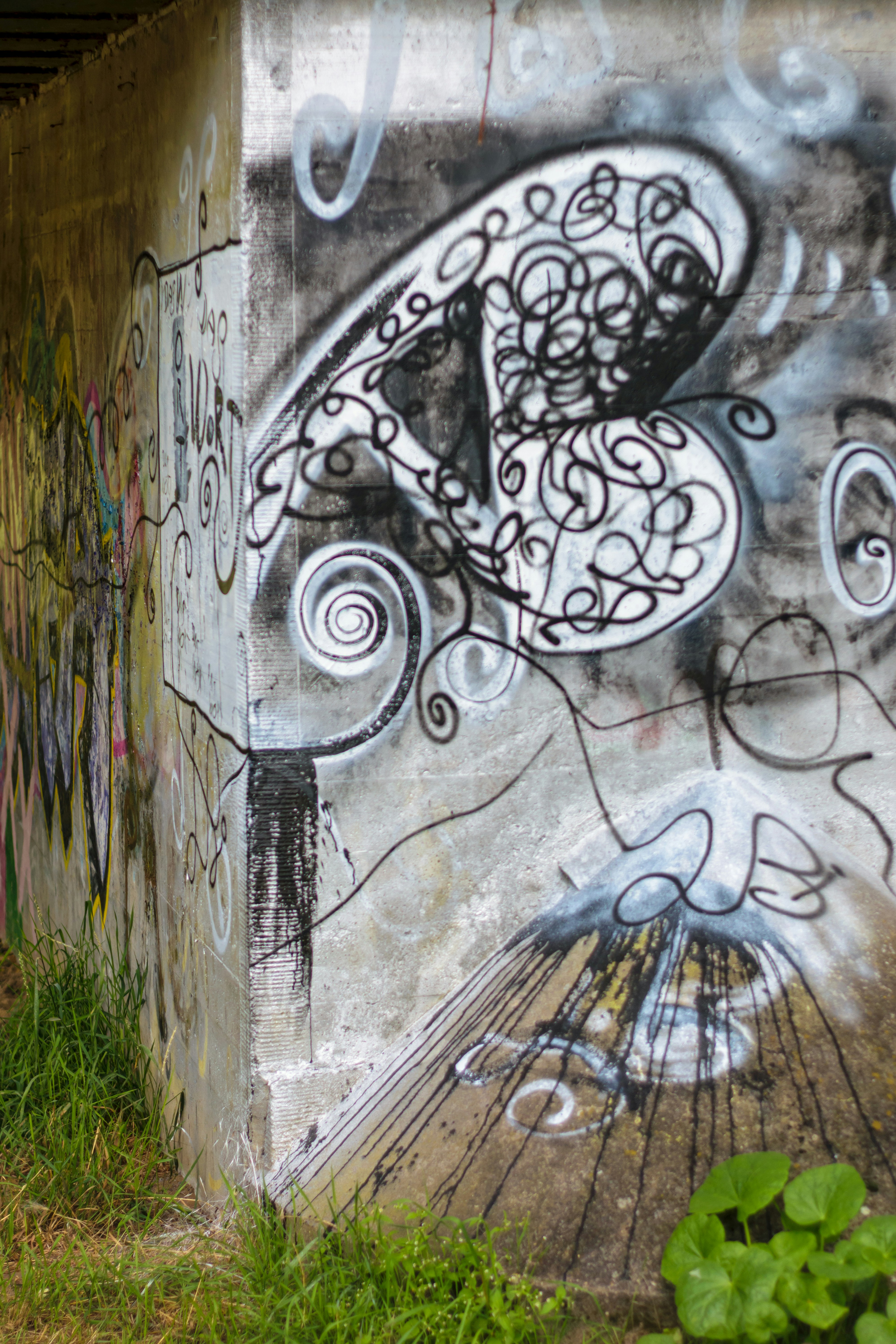 Curled Whimsy: Abstract Graffiti Spirals on Concrete
