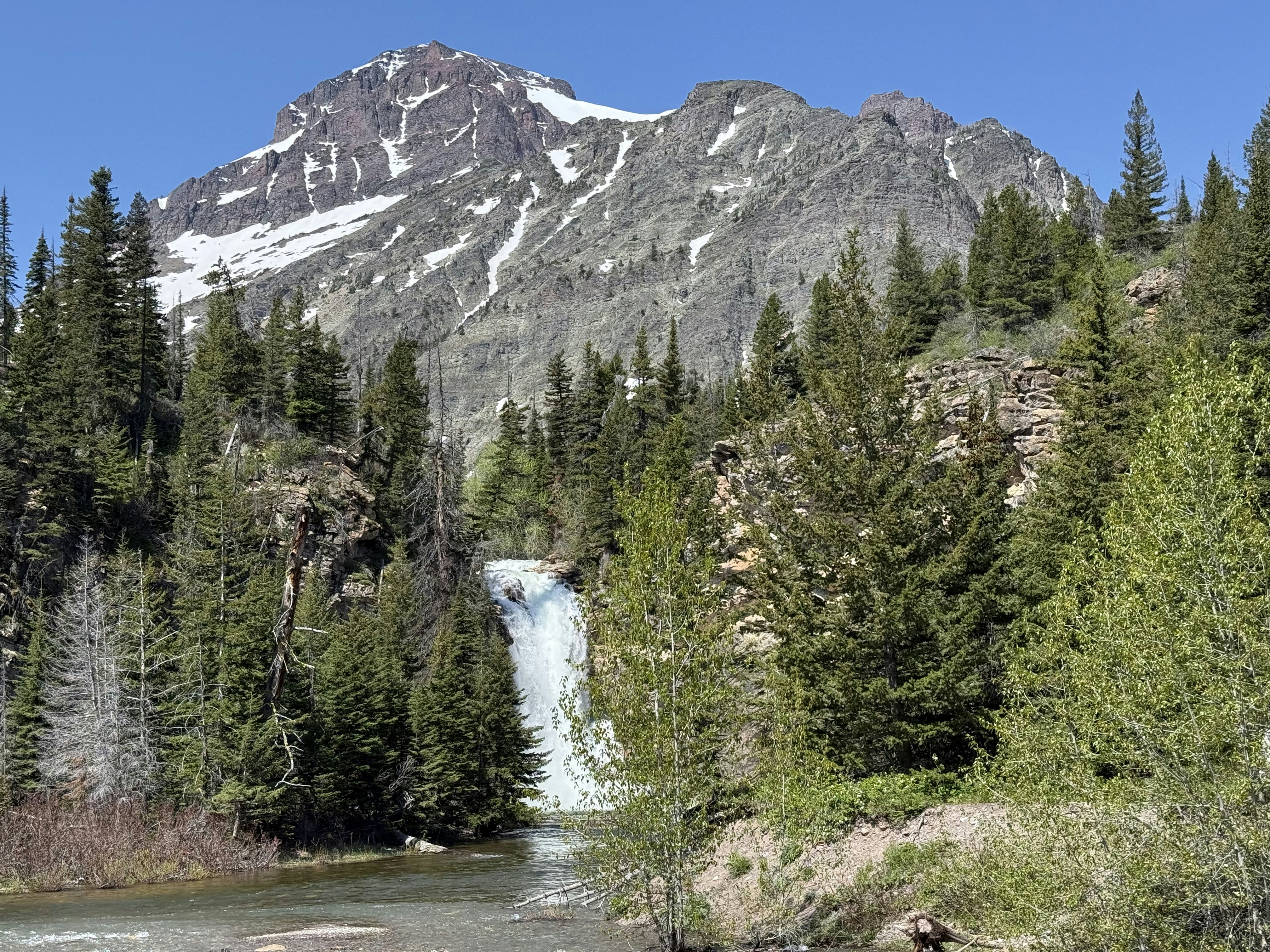 A majestic snow-capped mountain overlooks a waterfall and pine forest.