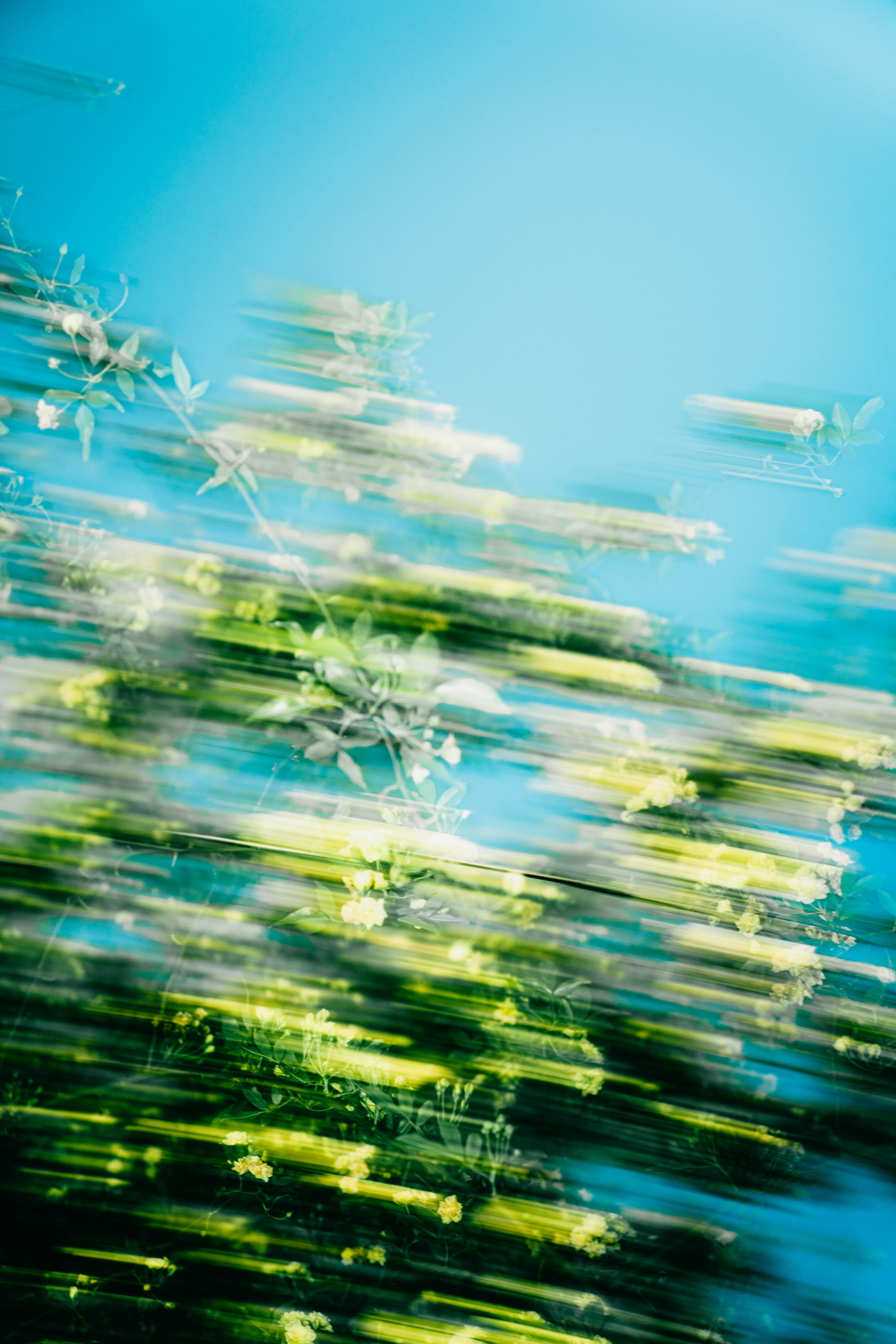 Motion Bloom: Blurred Fronds in a Cyan Dream