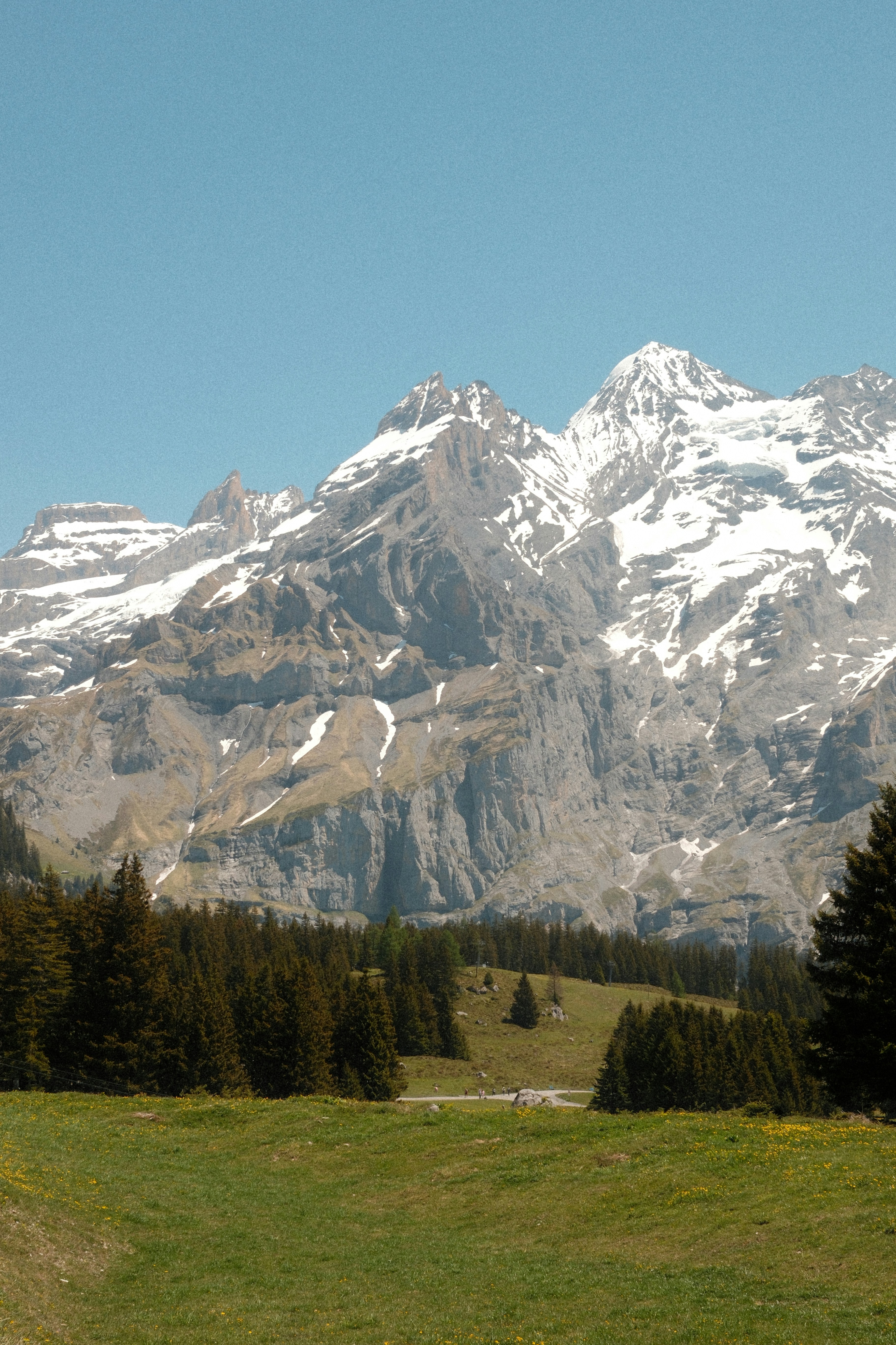 Snow-kissed Peaks Over a Tranquil Alpine Meadow