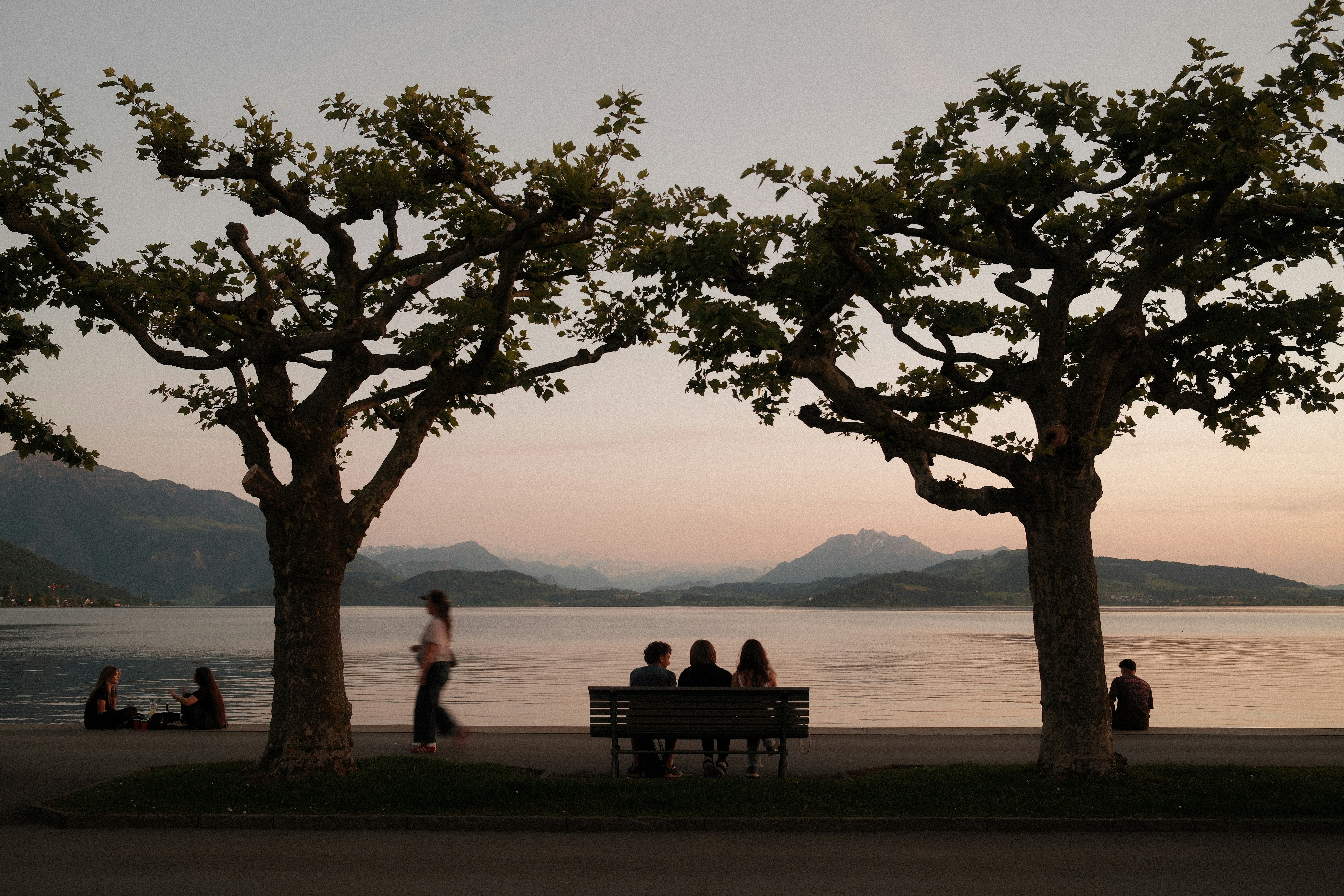People relax by a lake framed by trees at sunset.