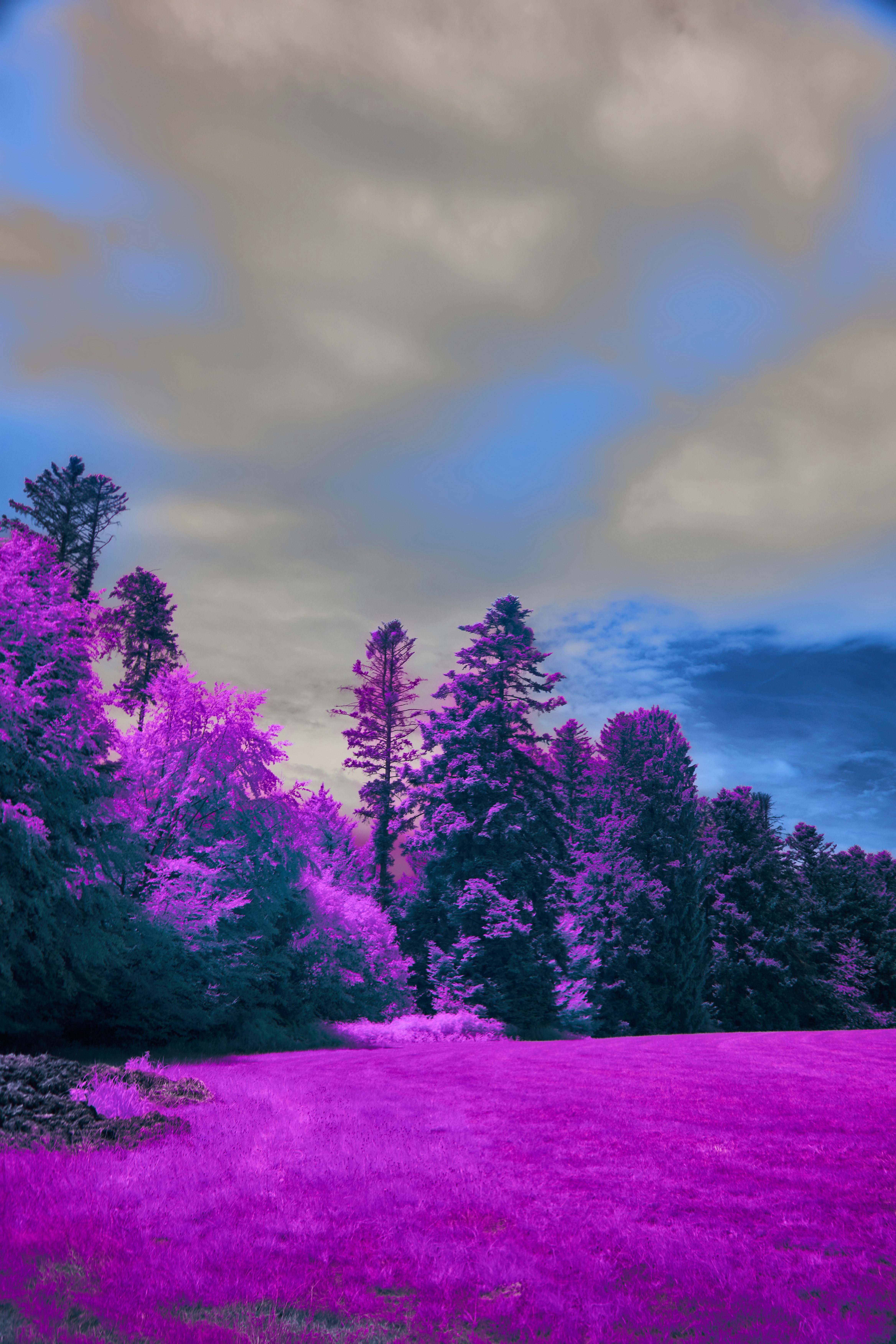 Neon Meadow Beneath a Verdant Sky