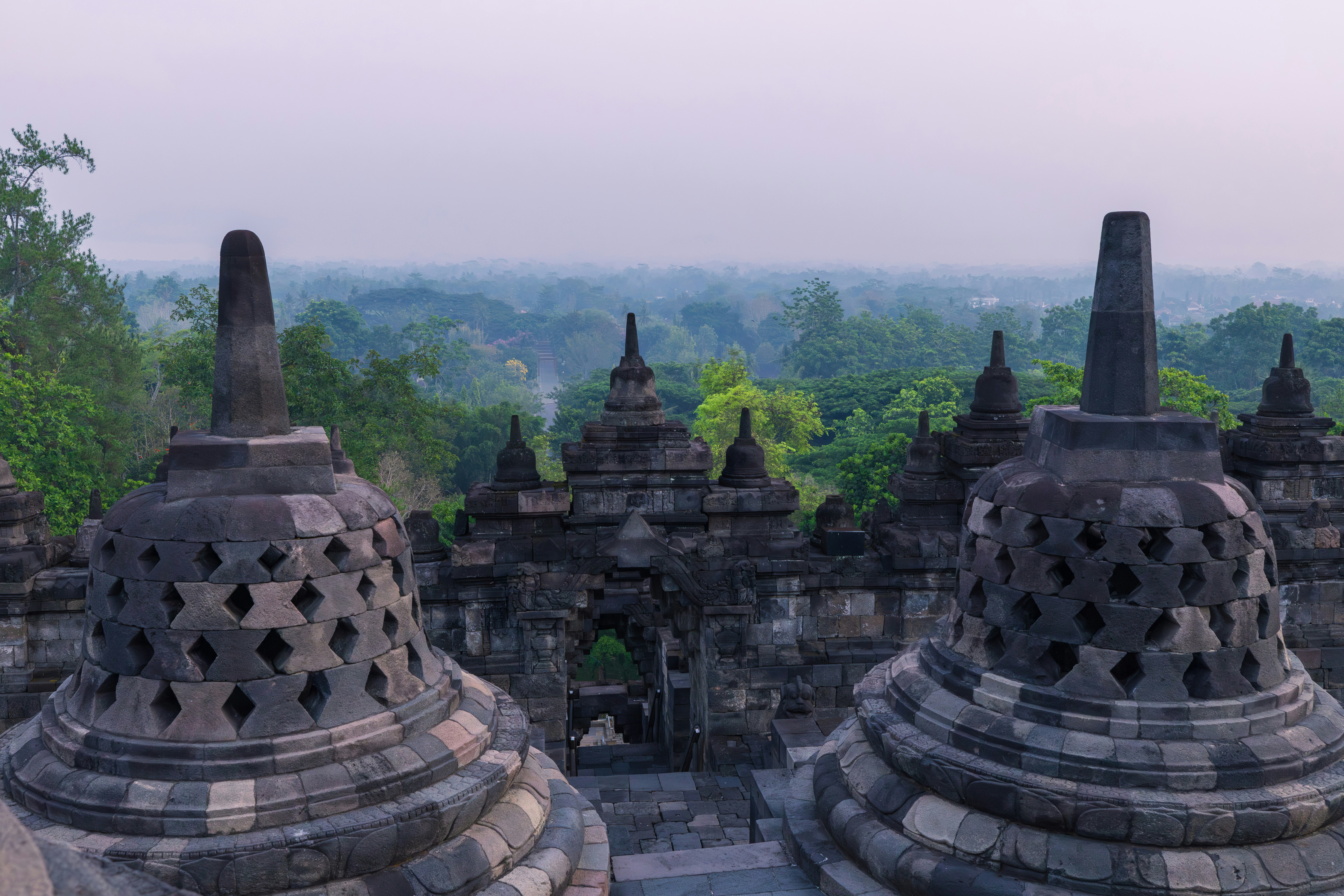 Stone Domes and Forest Veil: Rooftop Temples Above the Green Abyss