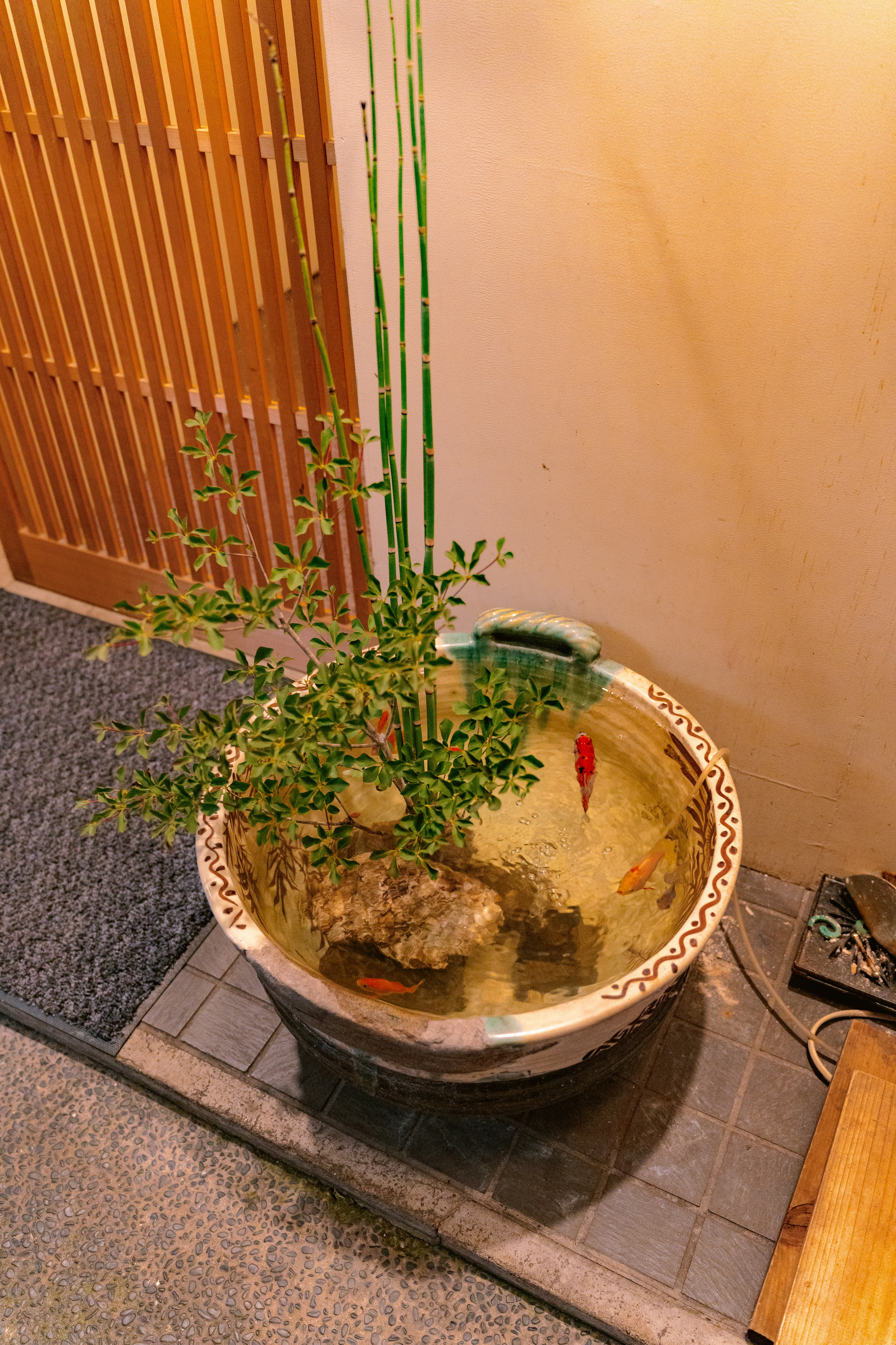 Bamboo stalks sprouting from a koi bowl by a wooden door