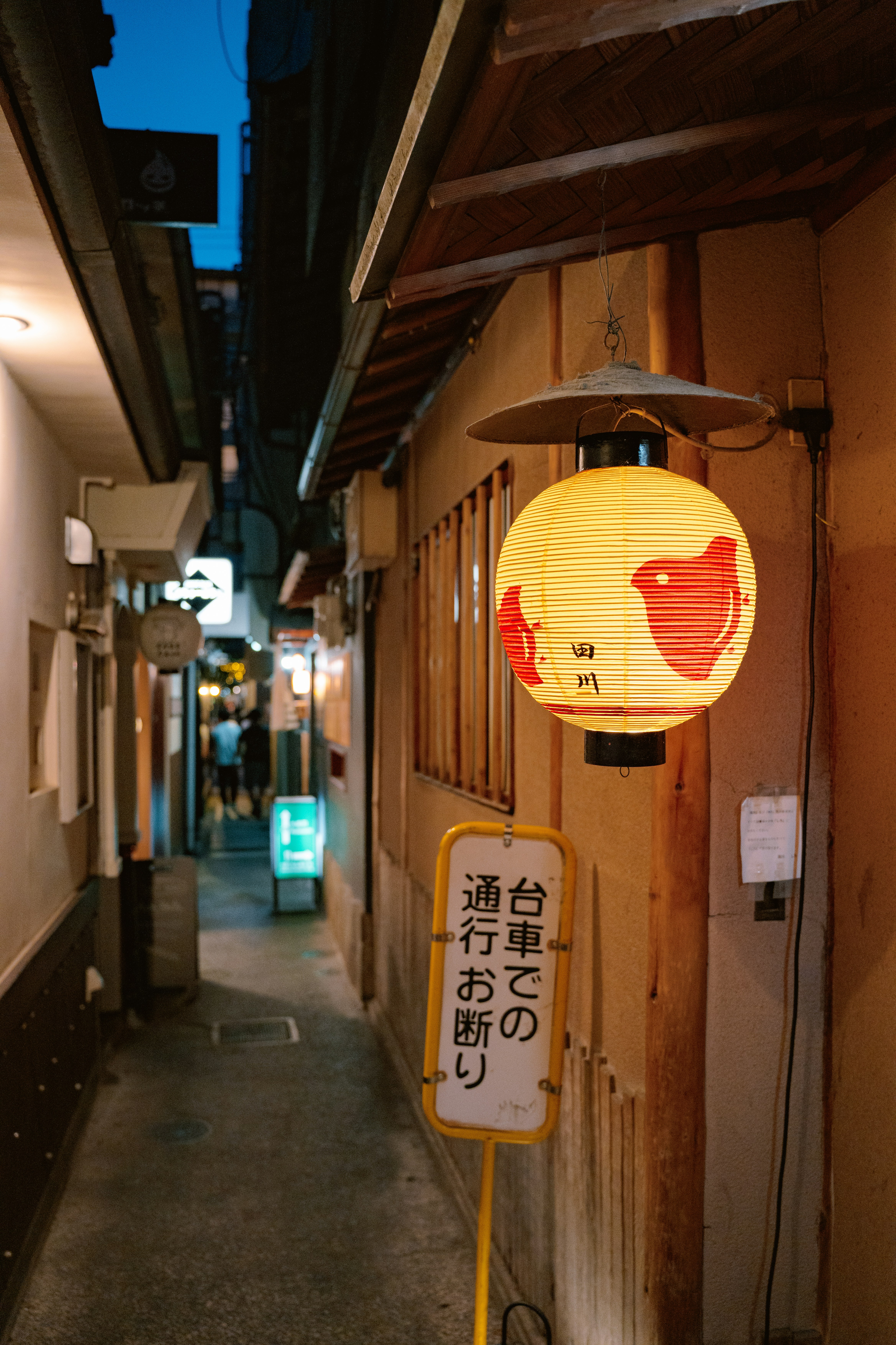 Lantern-lit Alley: A Quiet Kyoto Night Walk