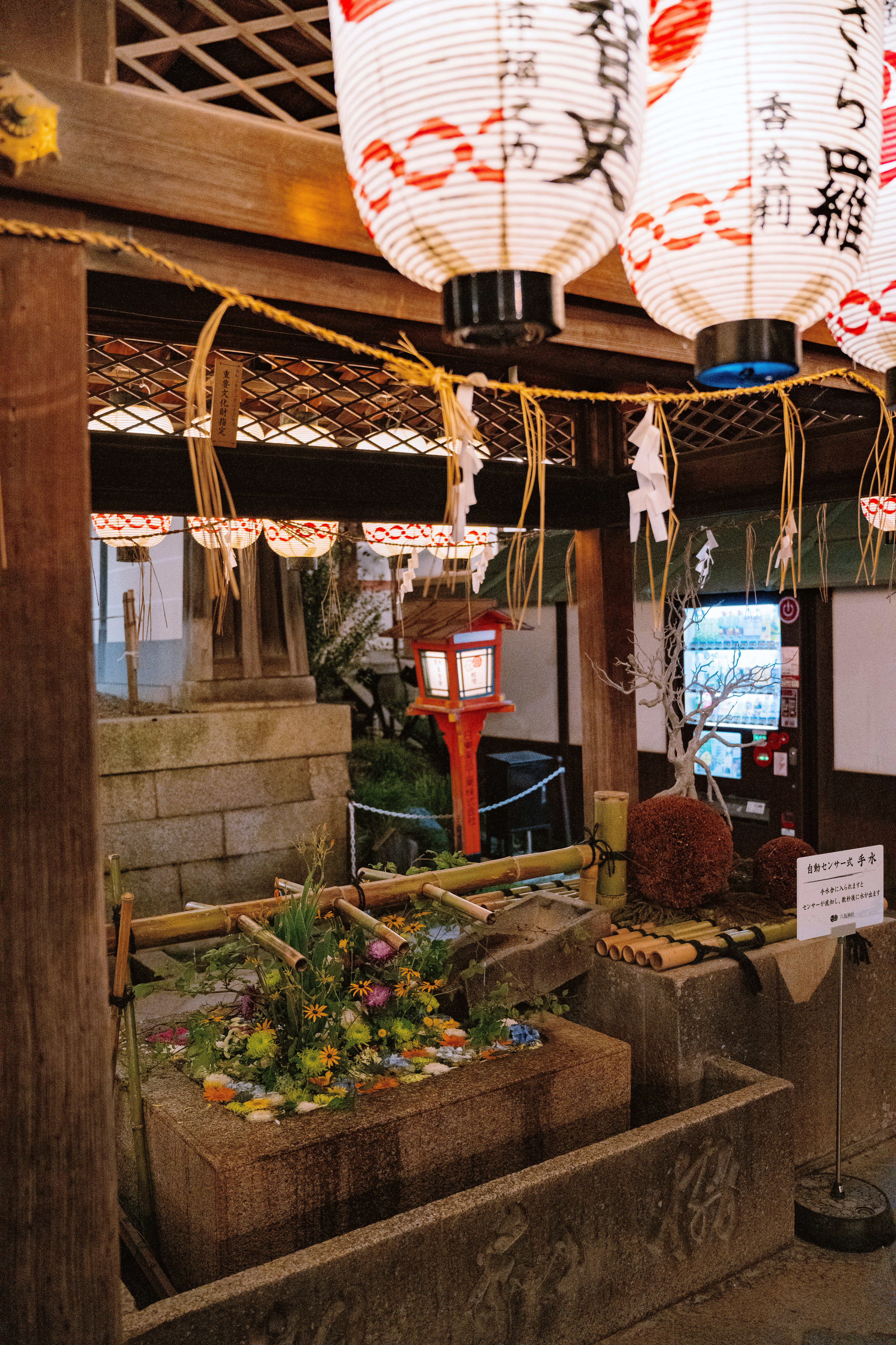 Lanterns and Ritual Waterways: A Quiet Shrine Inside a Wooden Nook