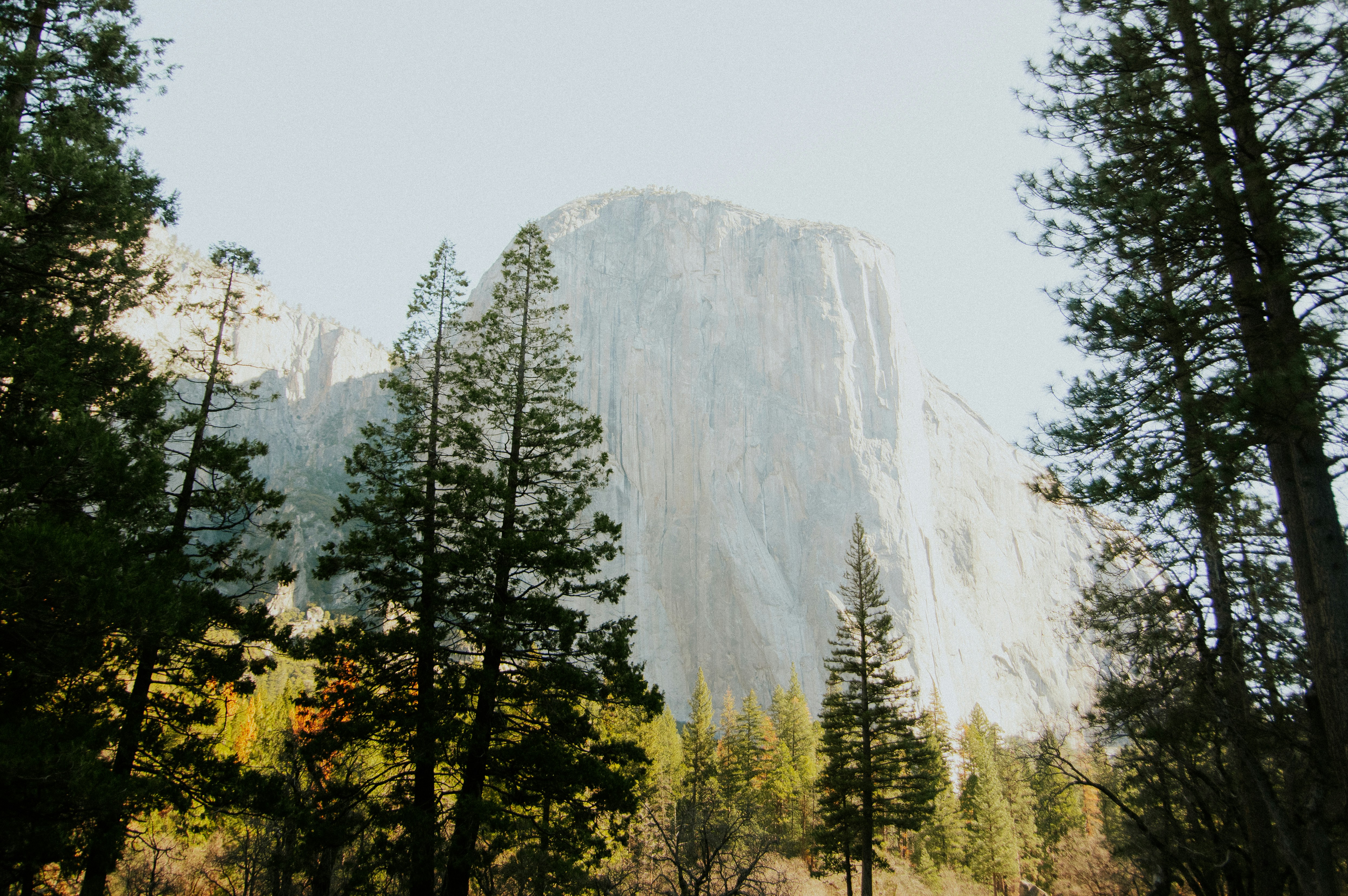 Monolithic Sierra silhouette through a pine-framed dawn