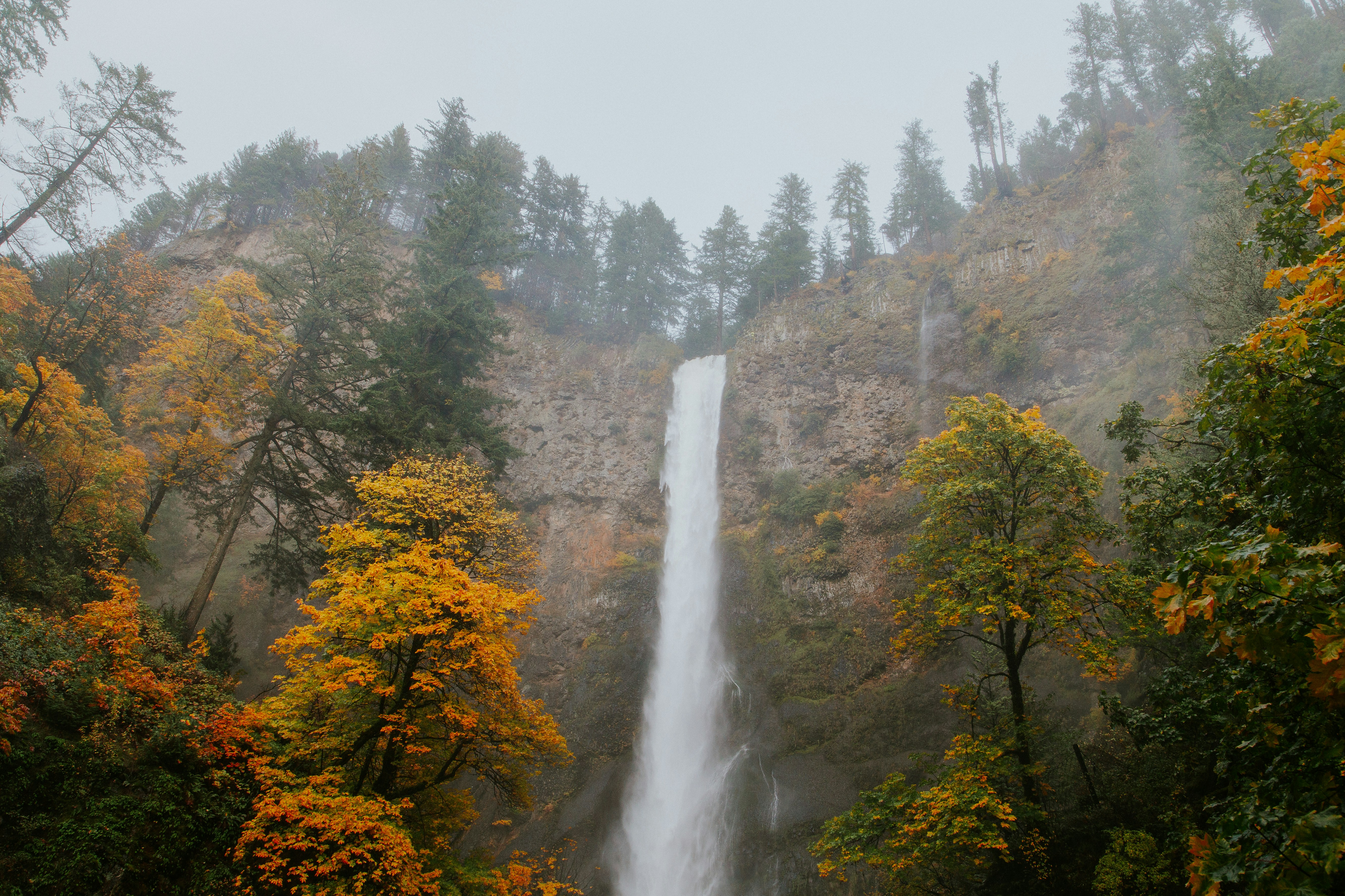 Autumn Cascade: A Narrow Veil in a Forested Gorge