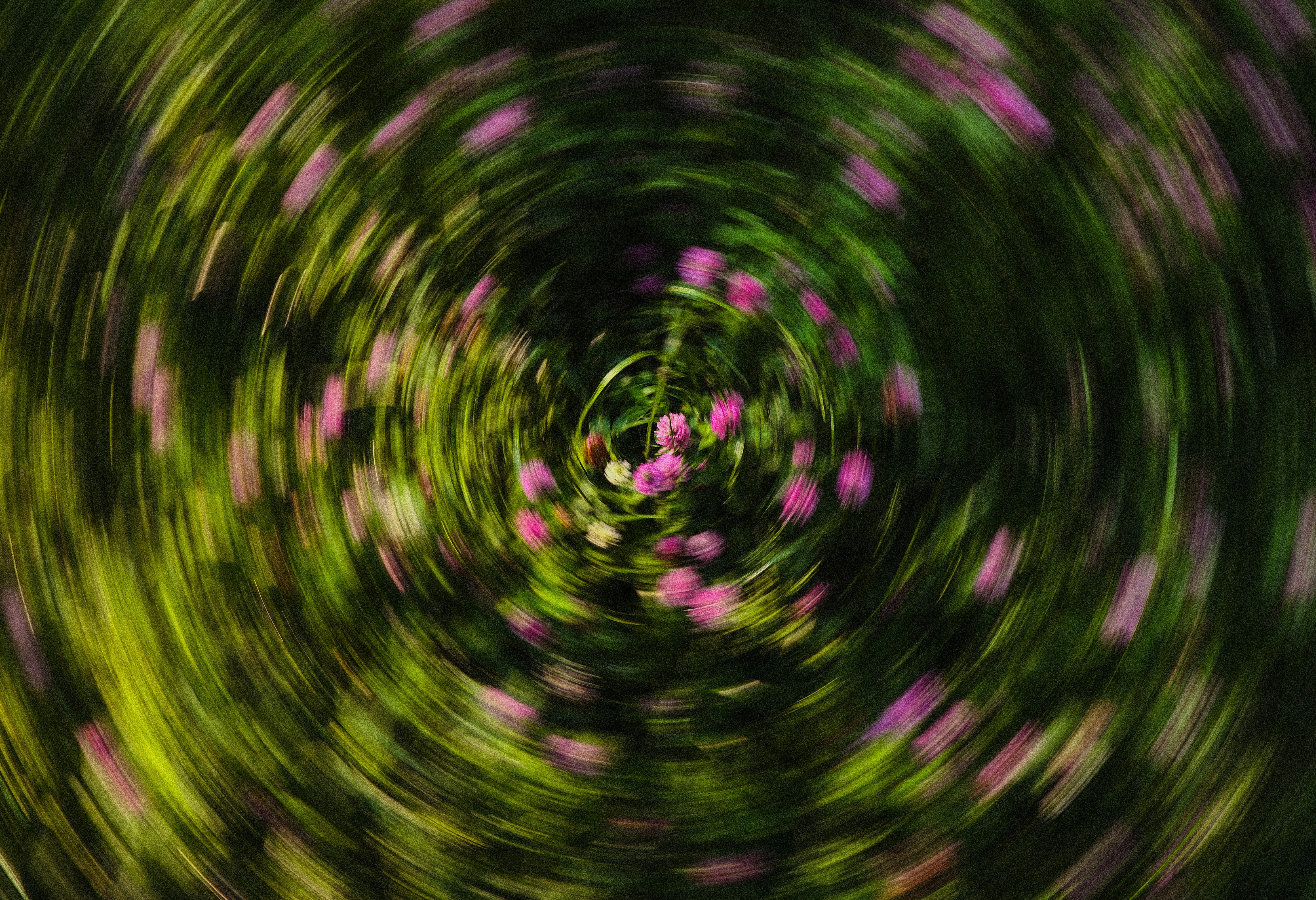 Floral Motion Abstract