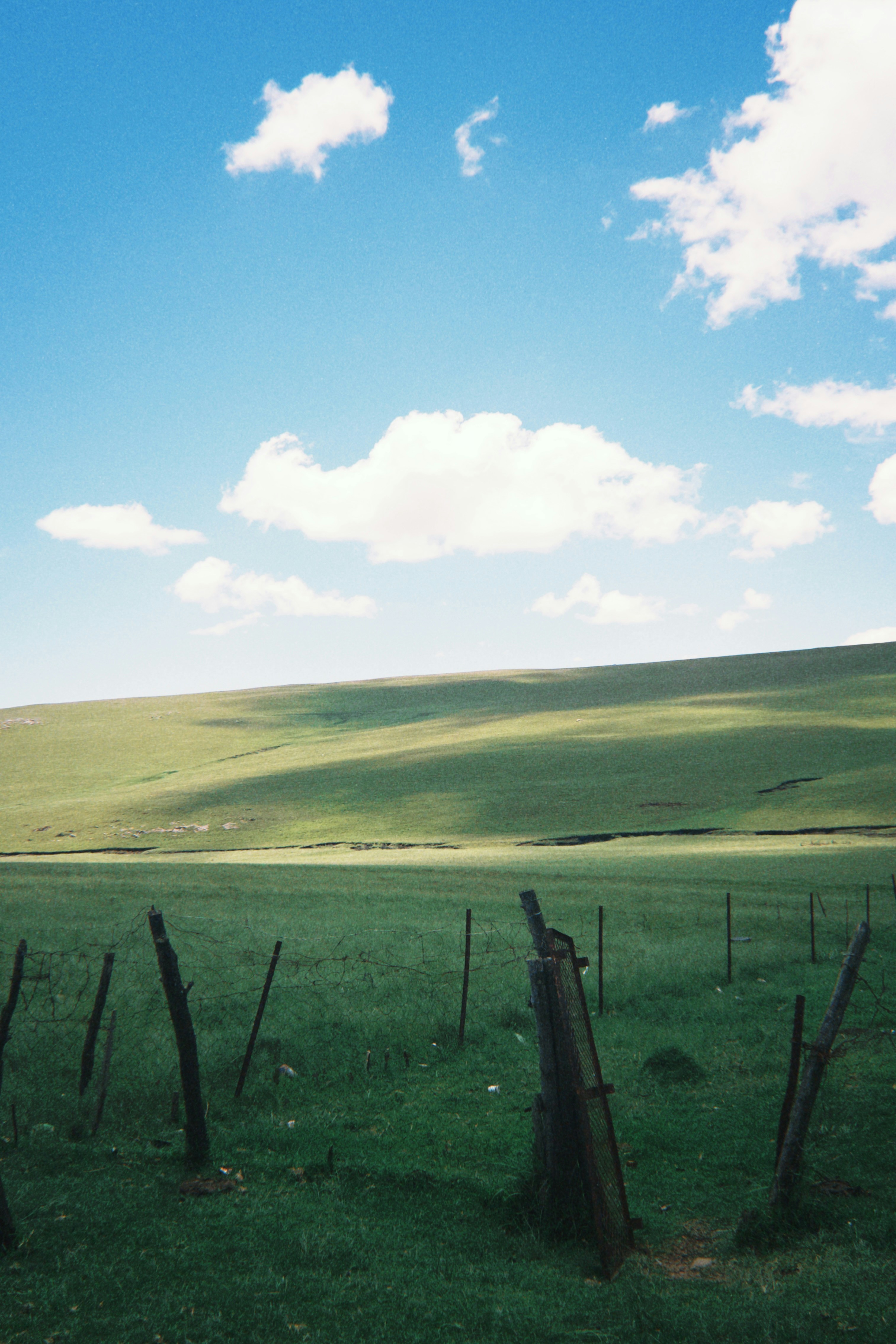 Pasture Ridge Under a Sprawling Sky