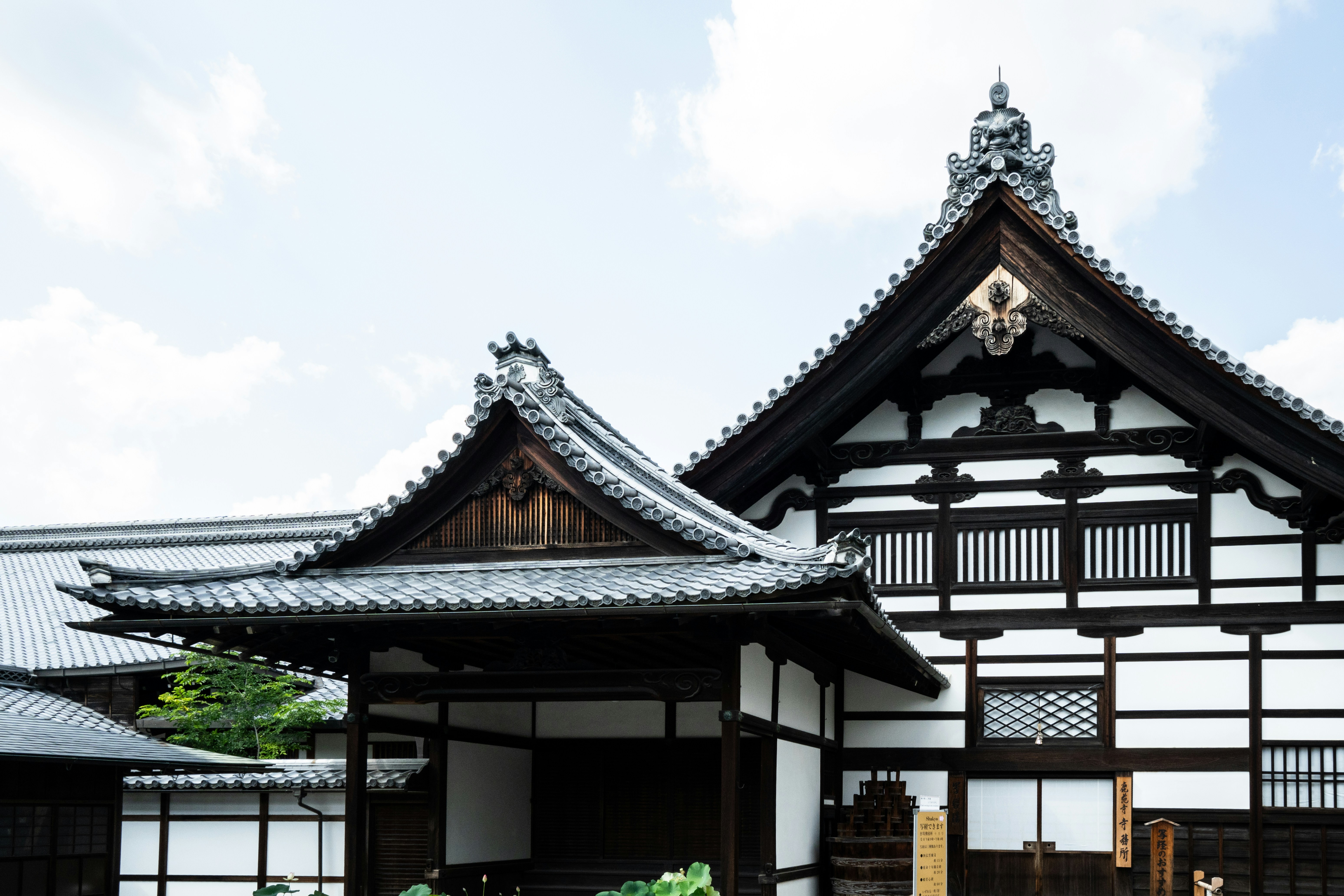 Temple Rooflines: Symmetry and Craft in Japanese Architecture