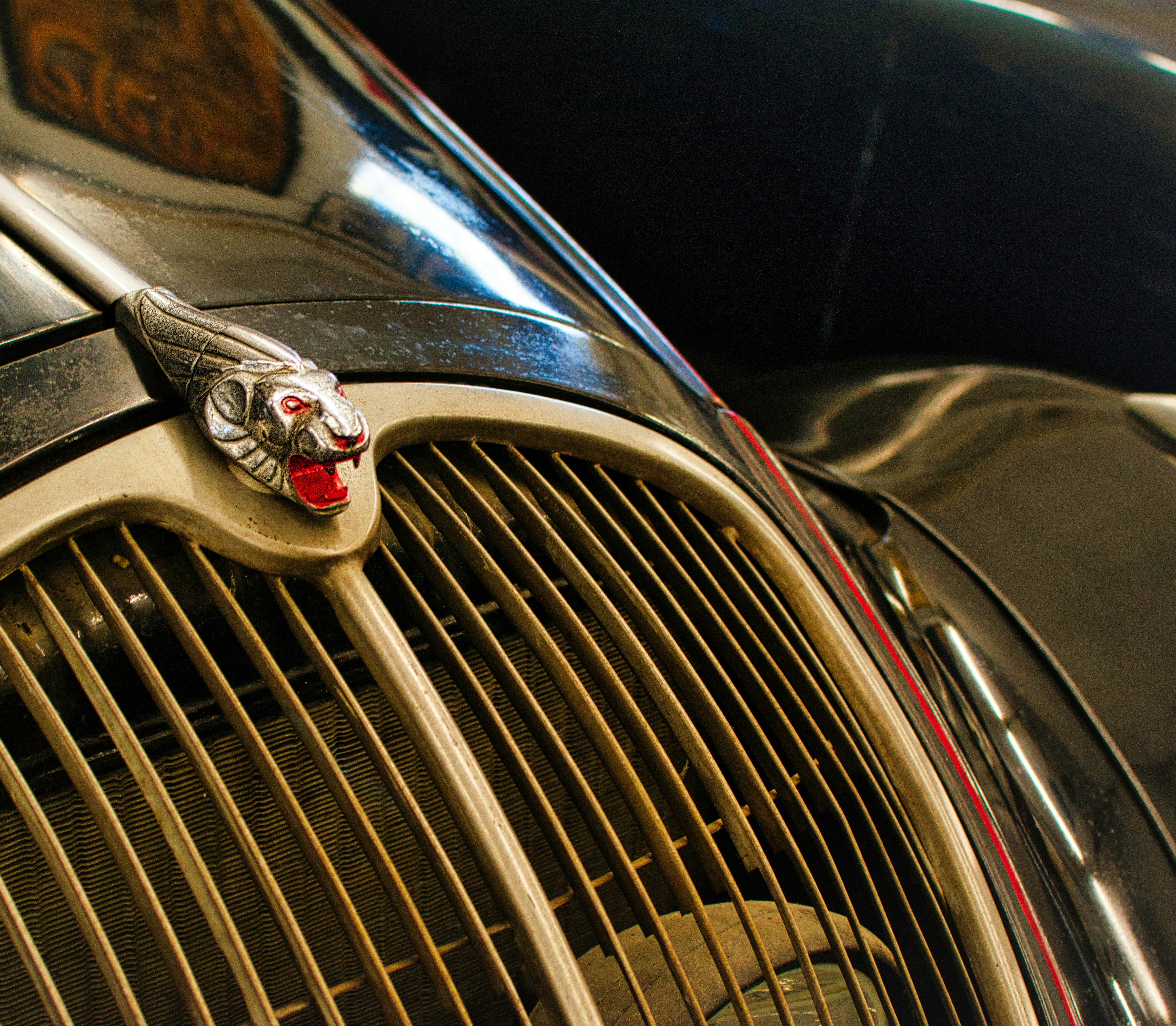 Chrome Grin: A Jaguar Hood Ornament Guards the Grille
