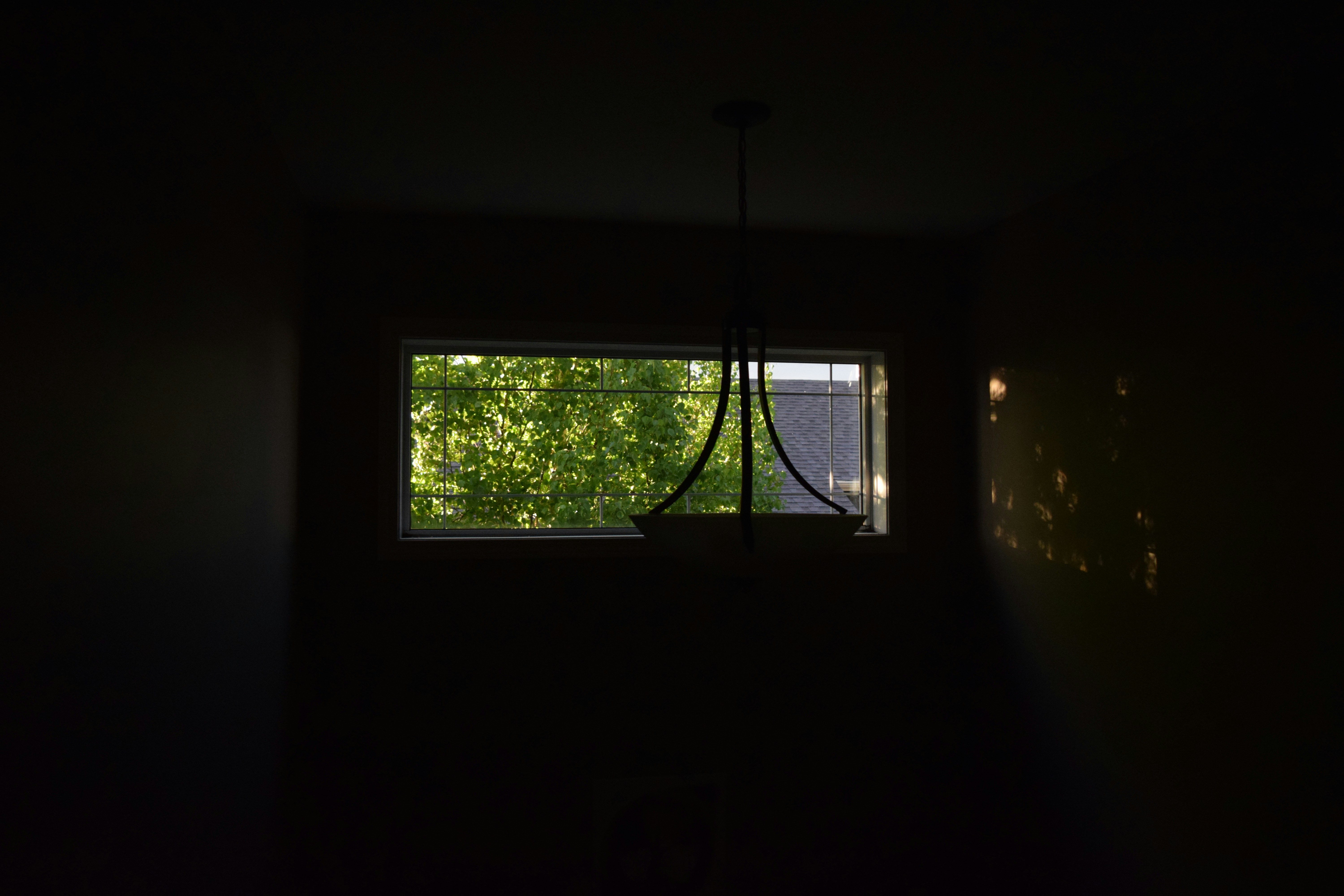 Light at the Window: Quiet Interior Framed by Greenery