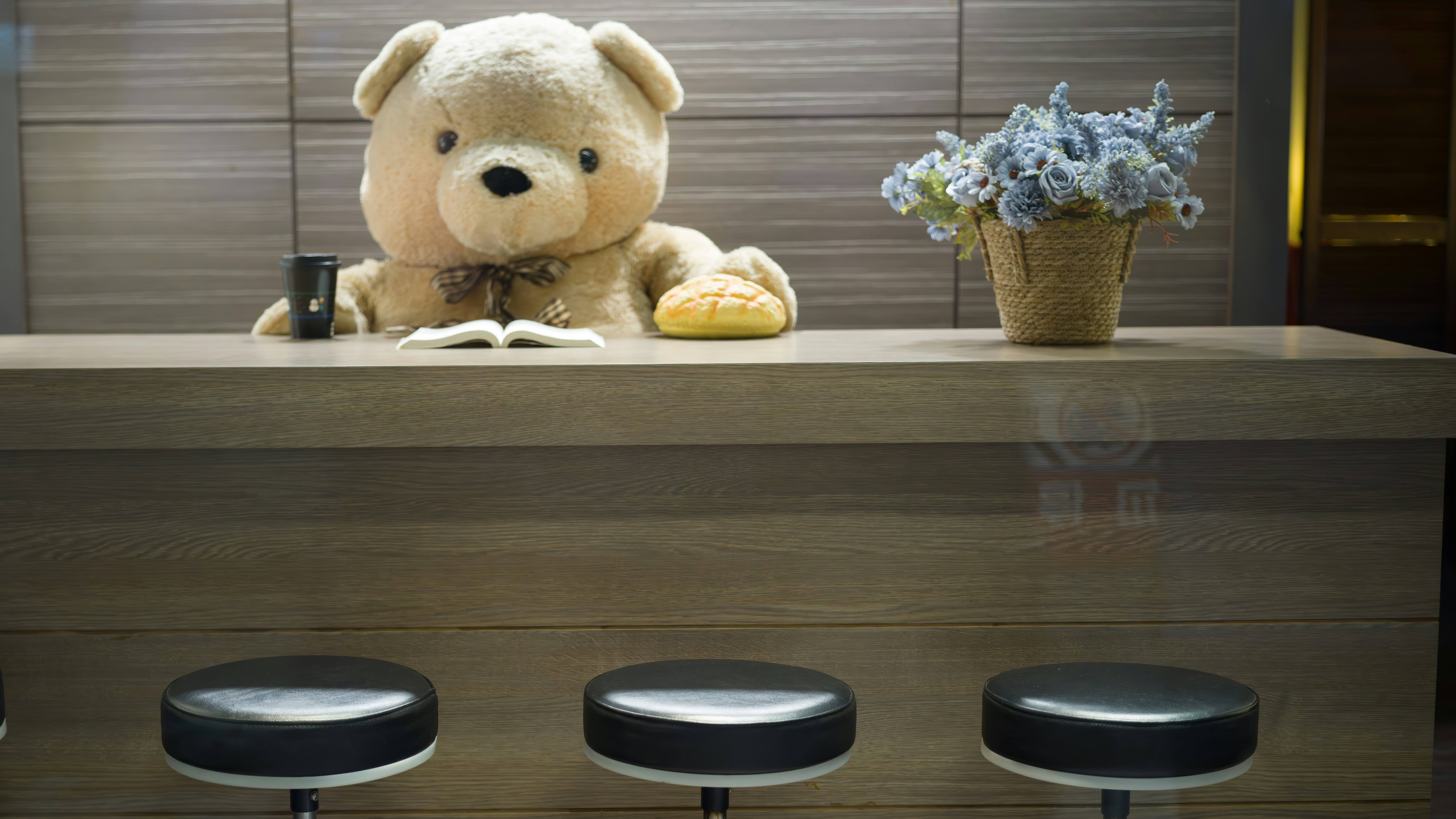 Pastel Plush at the Counter: A Quiet Café Corner
